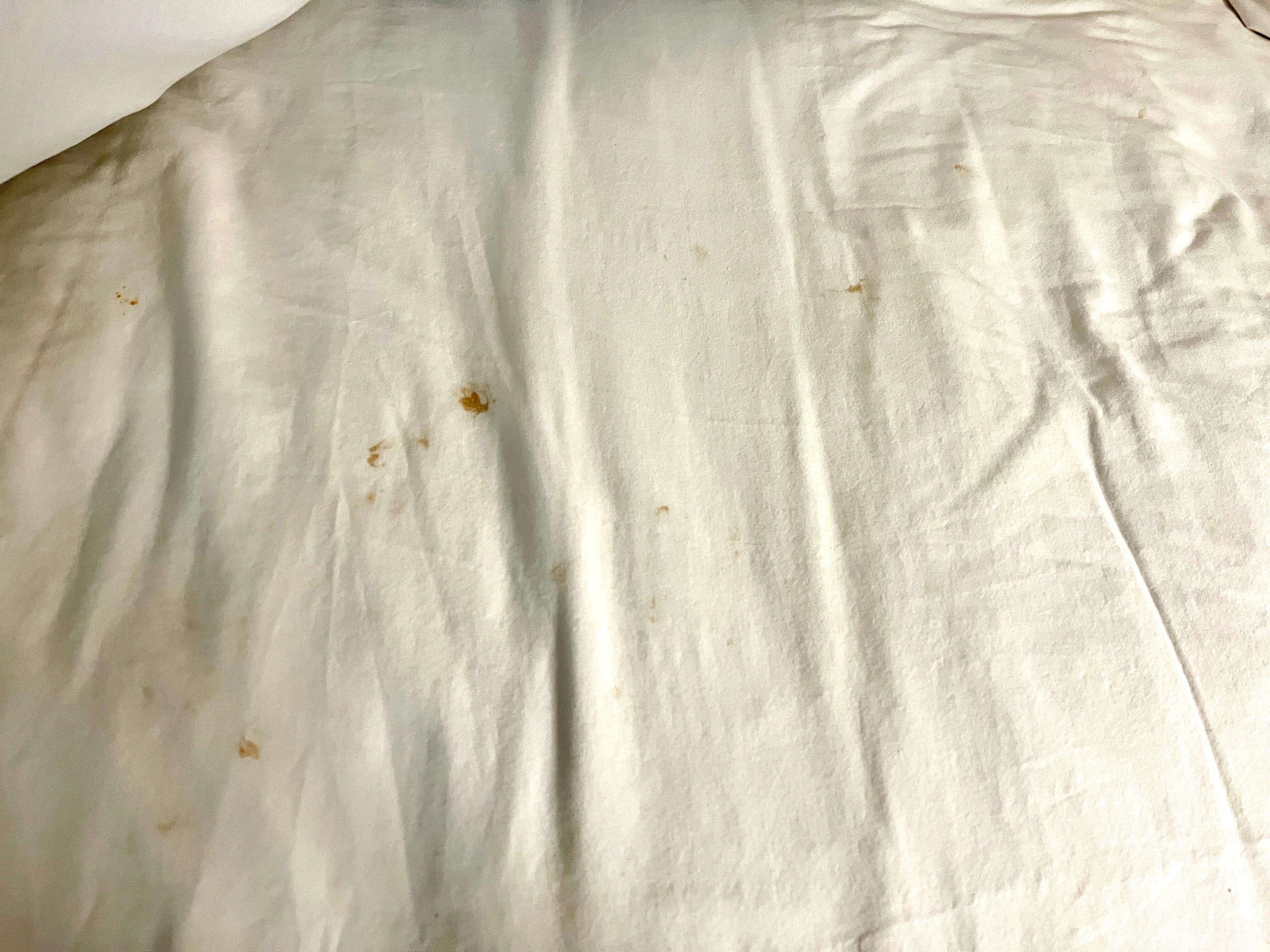 It’s either a murder bed or the poor woman mistimed the calendar. Unacceptable hotel sheet condition. It has usually been a very clean place til now.  