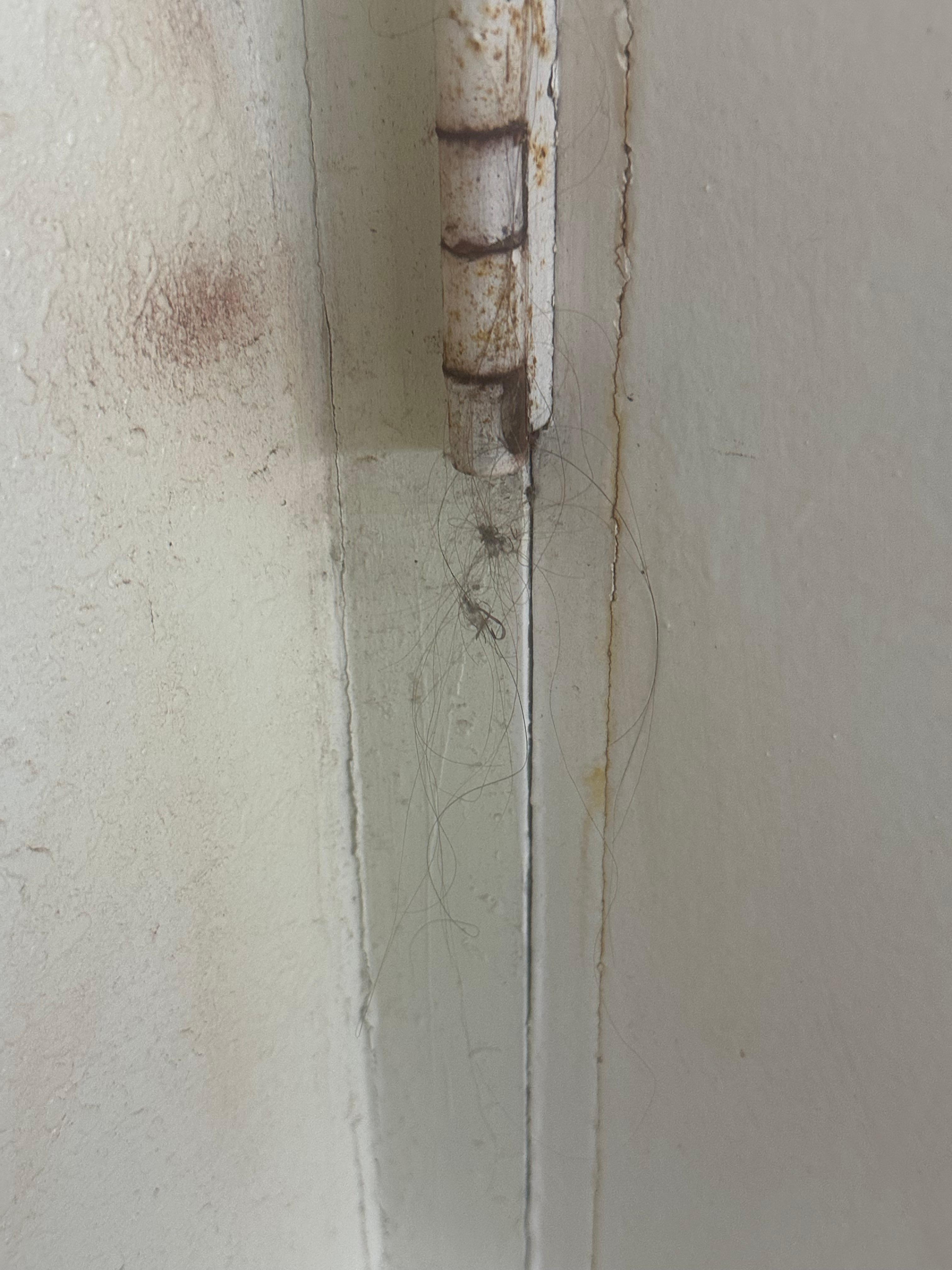 Hair stuck in the door hinge 
