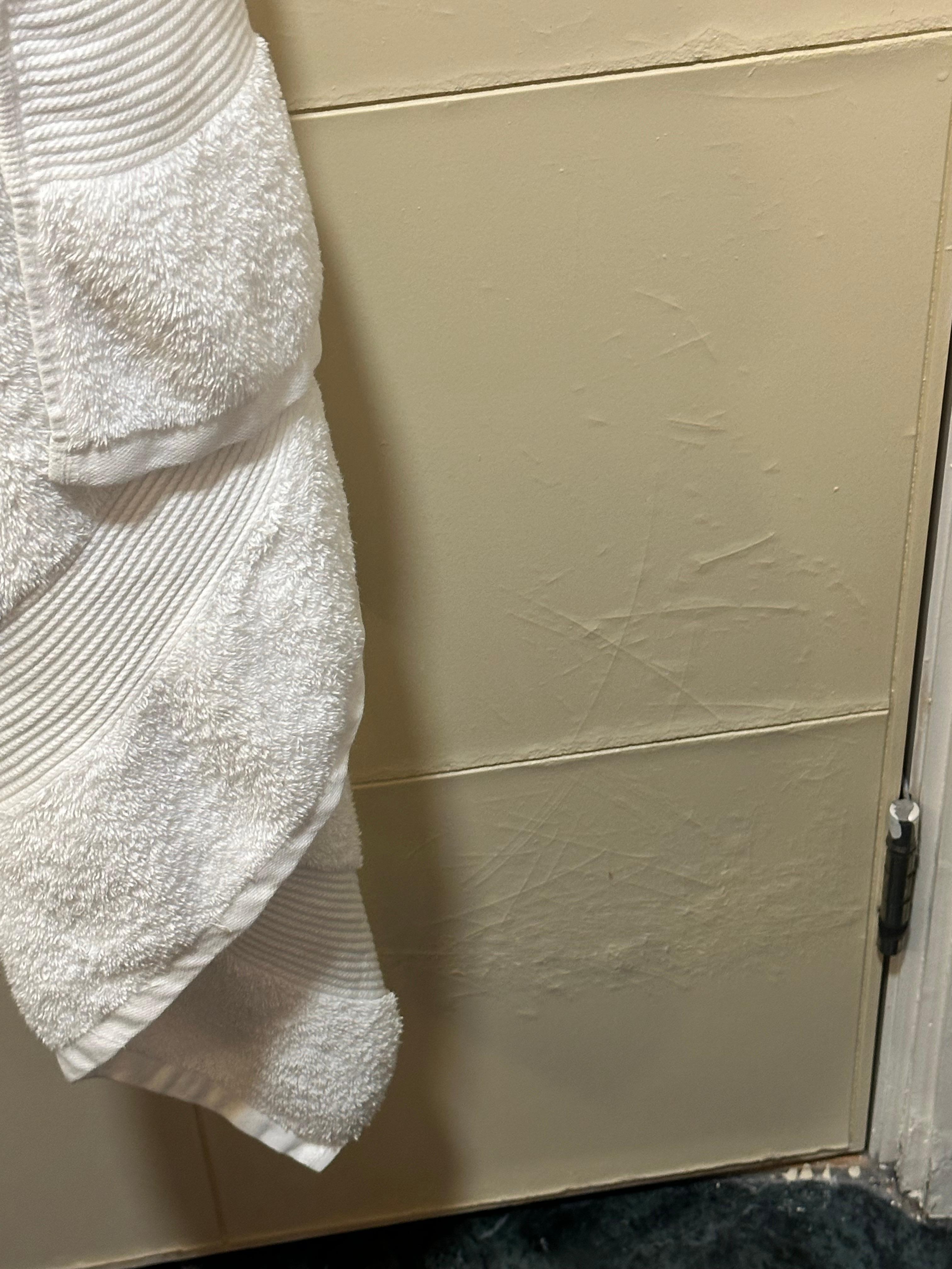 Horrid lining bathroom door 