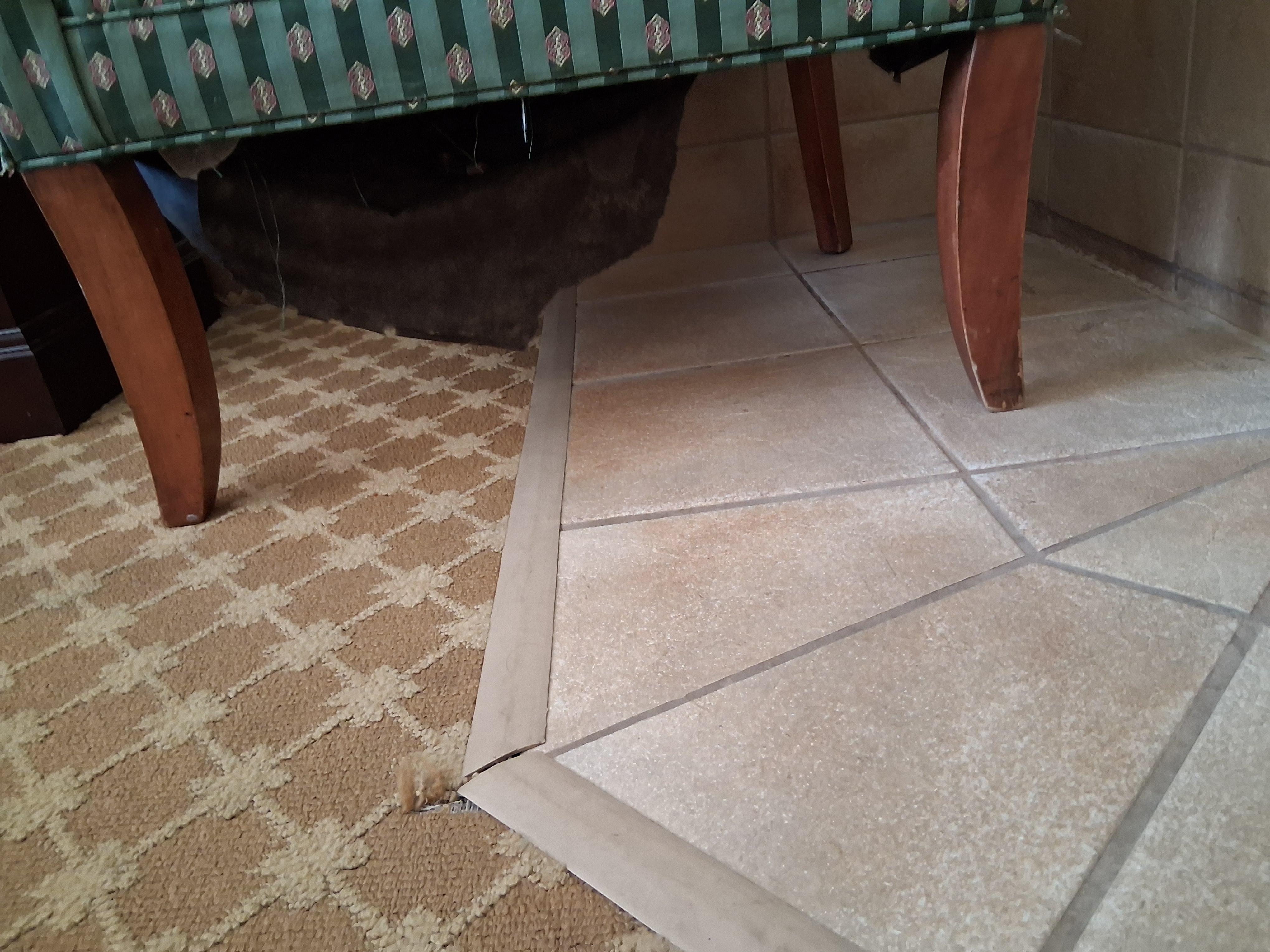 bad carpet trim and chair bottom falling off