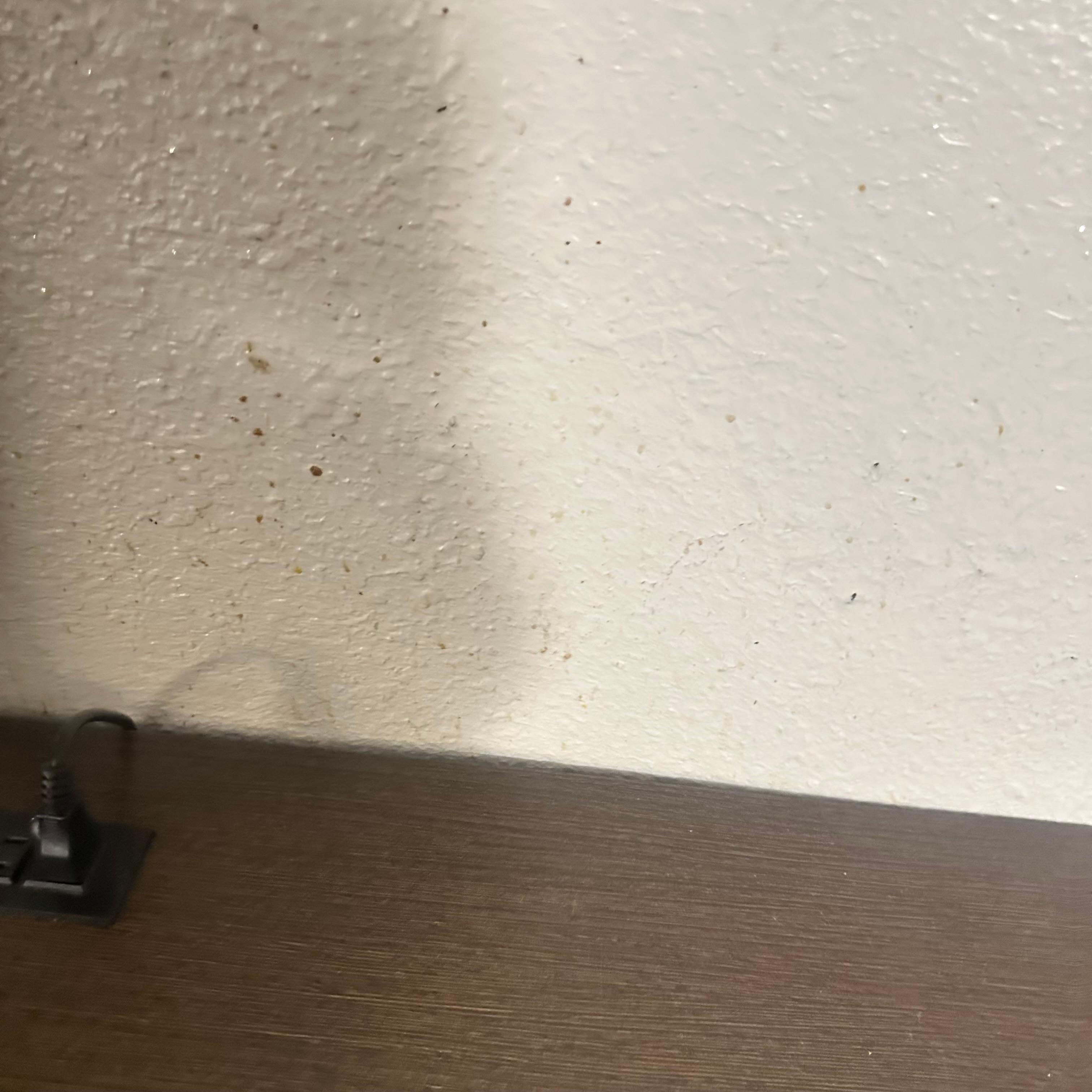 Some idk what on the walls