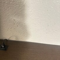 Some idk what on the walls