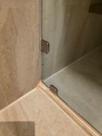 Cockroach in the bathroom