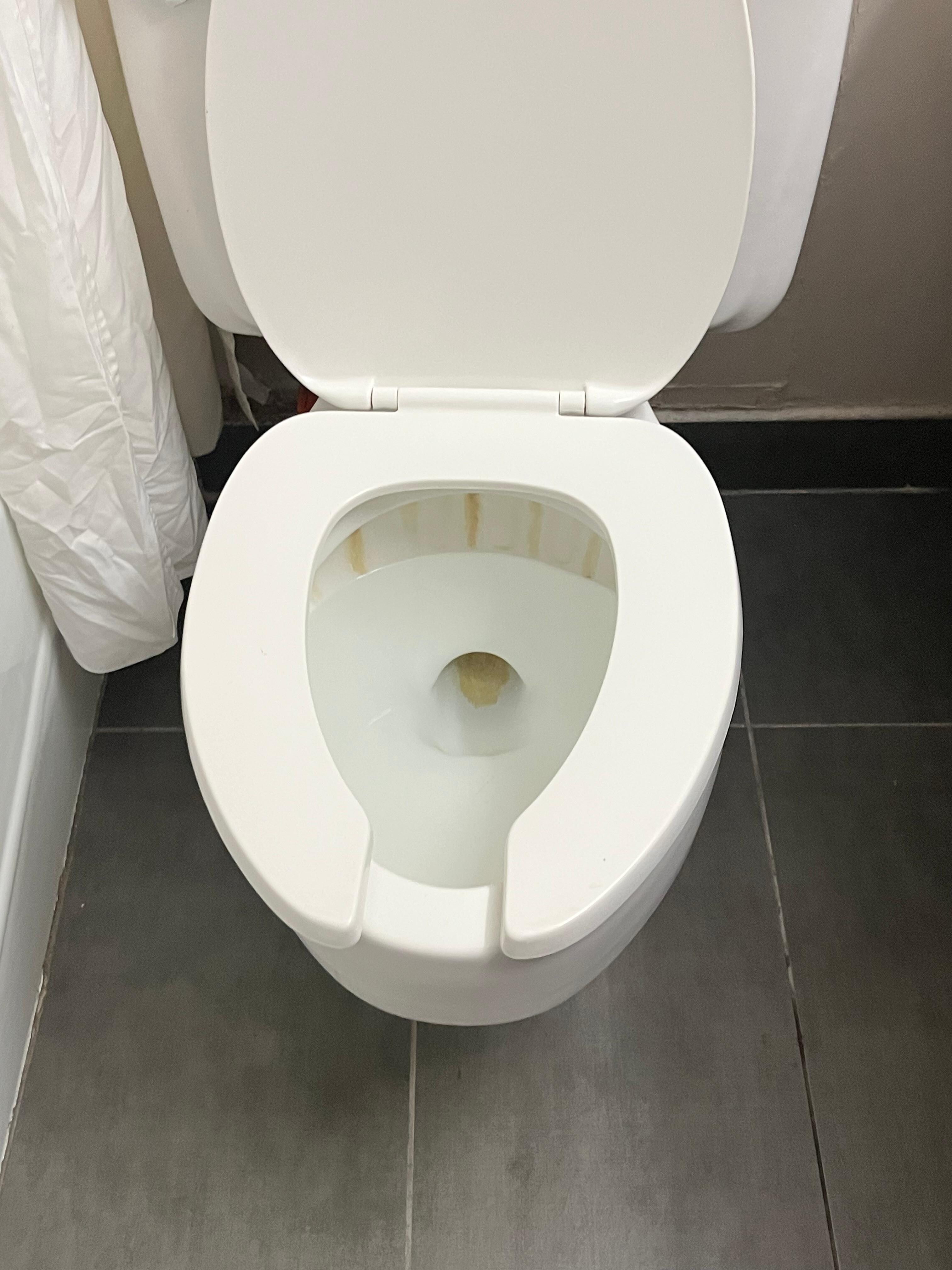 Stains in the toilet. You can see the dirty grout to the right of the toilet.