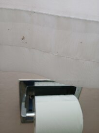 Mold on the window curtain in the bathroom