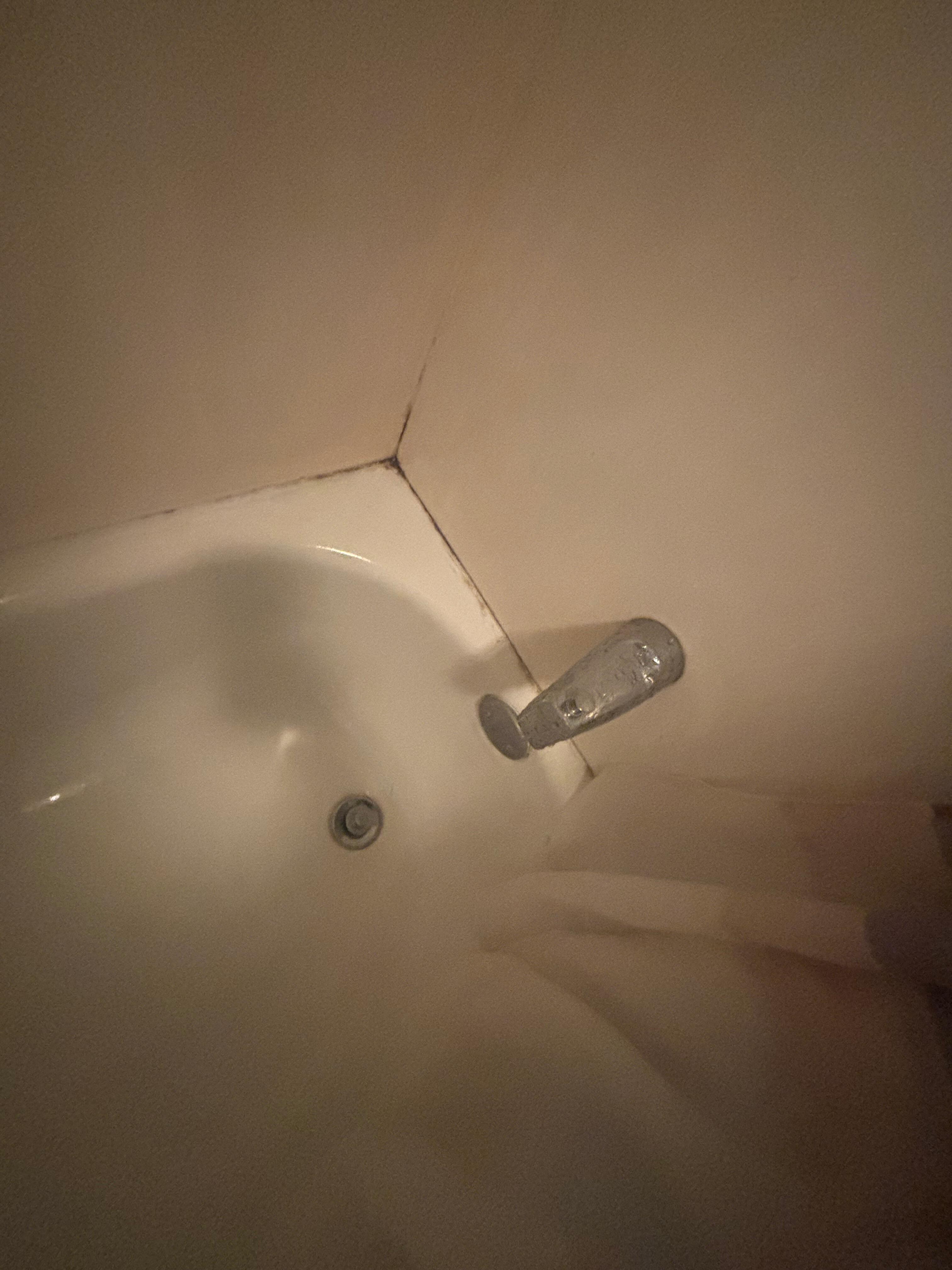 Mildew everywhere 