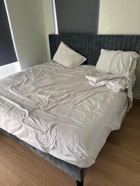 Master bedroom filthy