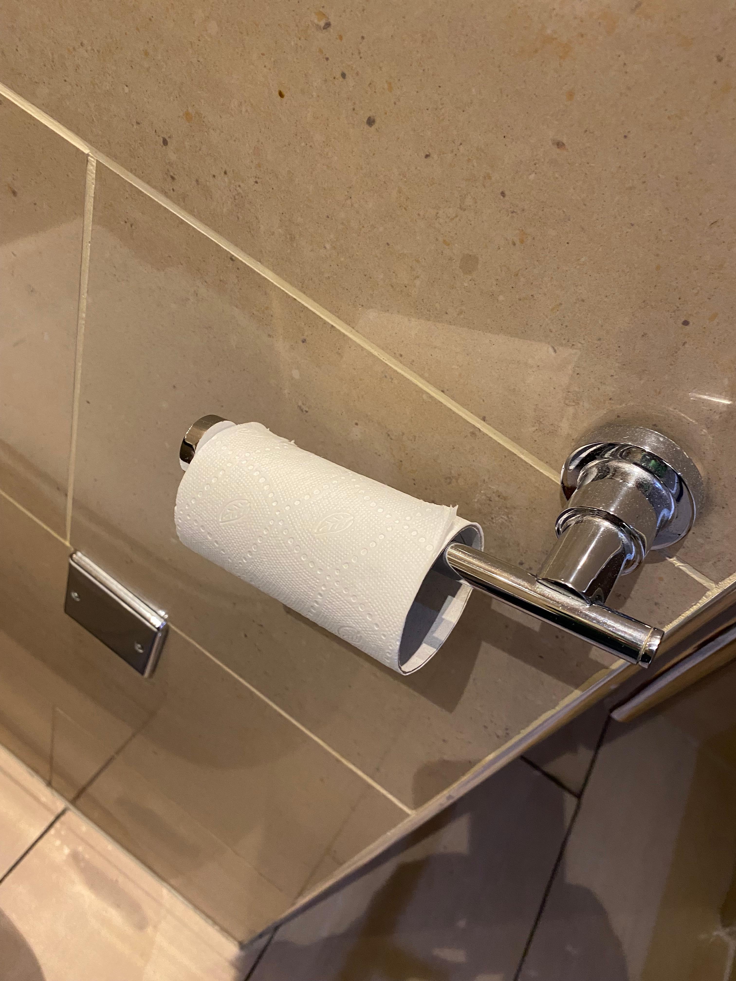 Toilet roll holder hanging off wall