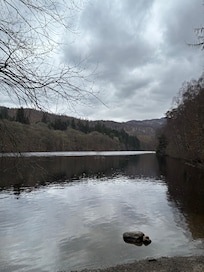 Local Faskally woods