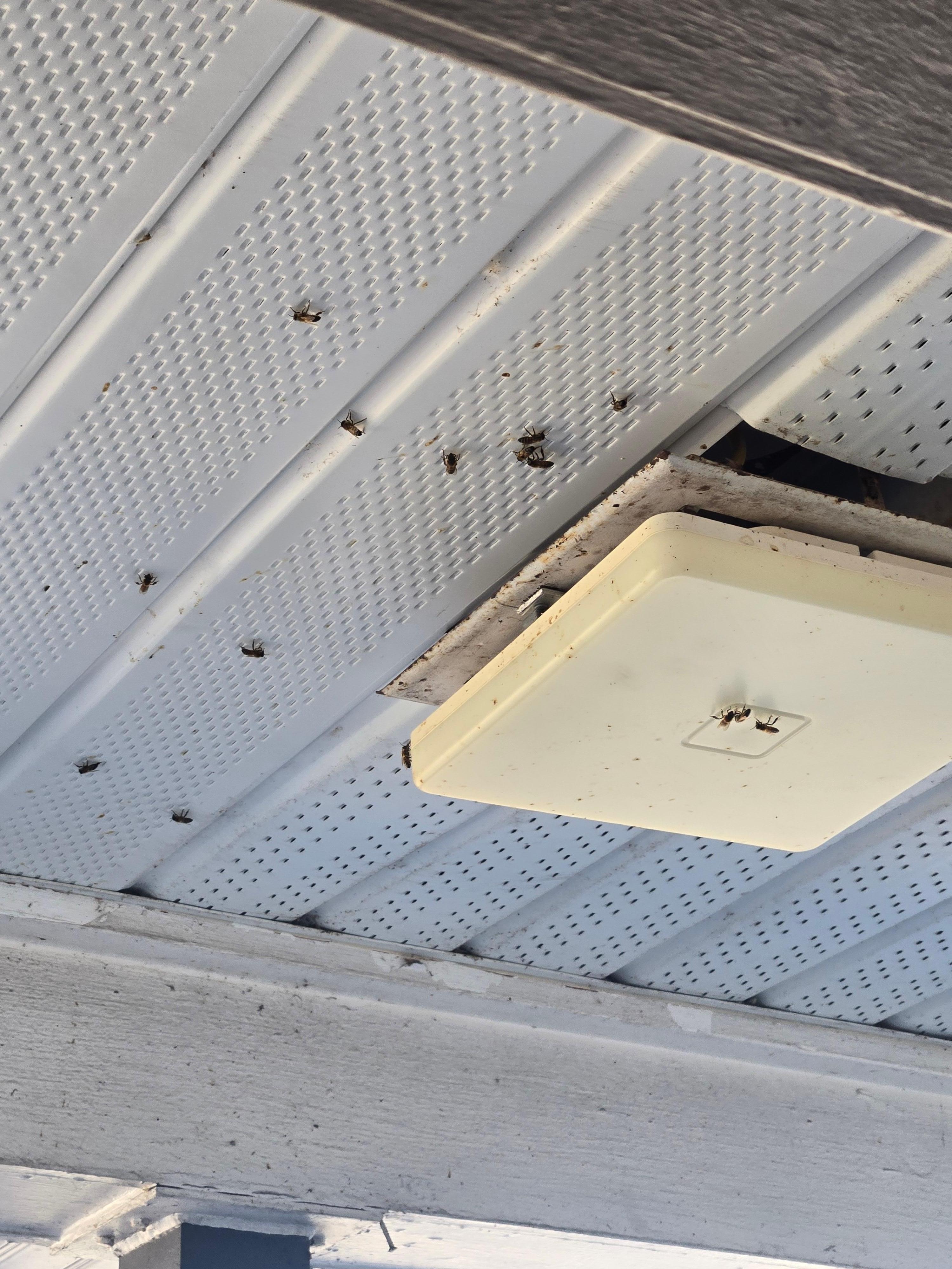 Right outside the door of the room 