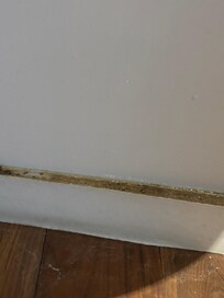 Moisissure dans les WC