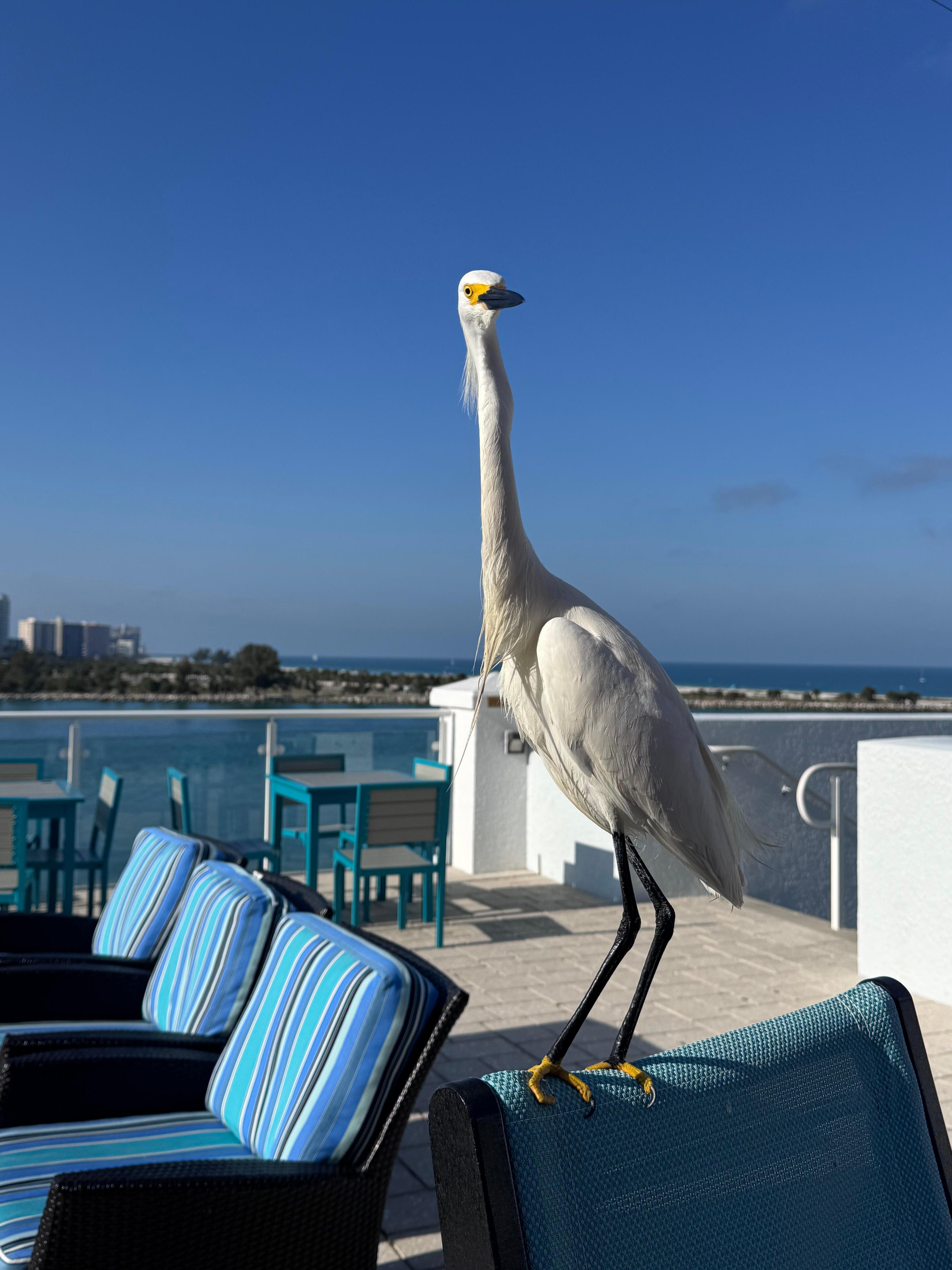George at our table on the terrace while relaxing 