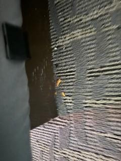 Multiple Piles of crumbs on Check -in