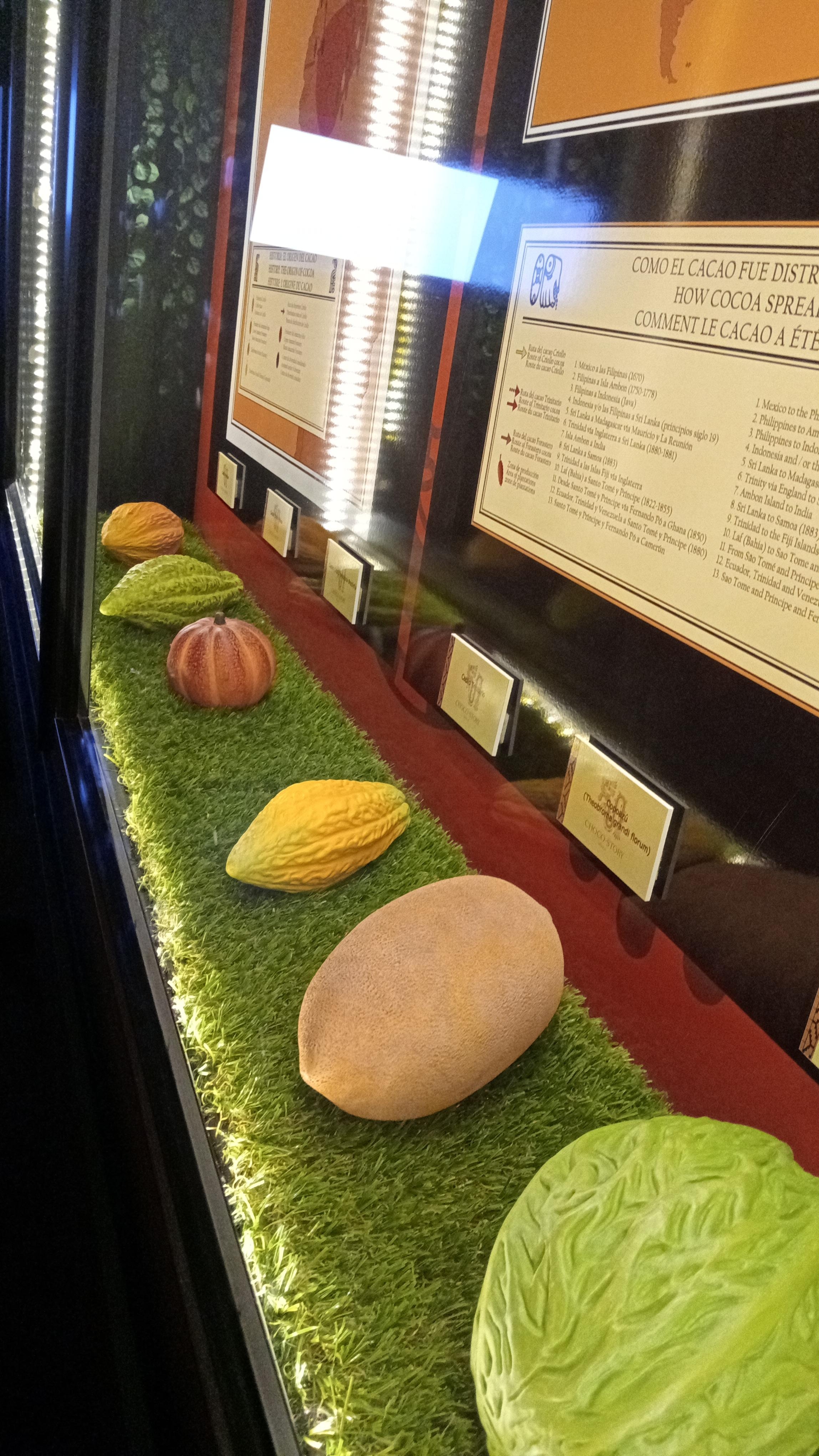 Museu do Cacau