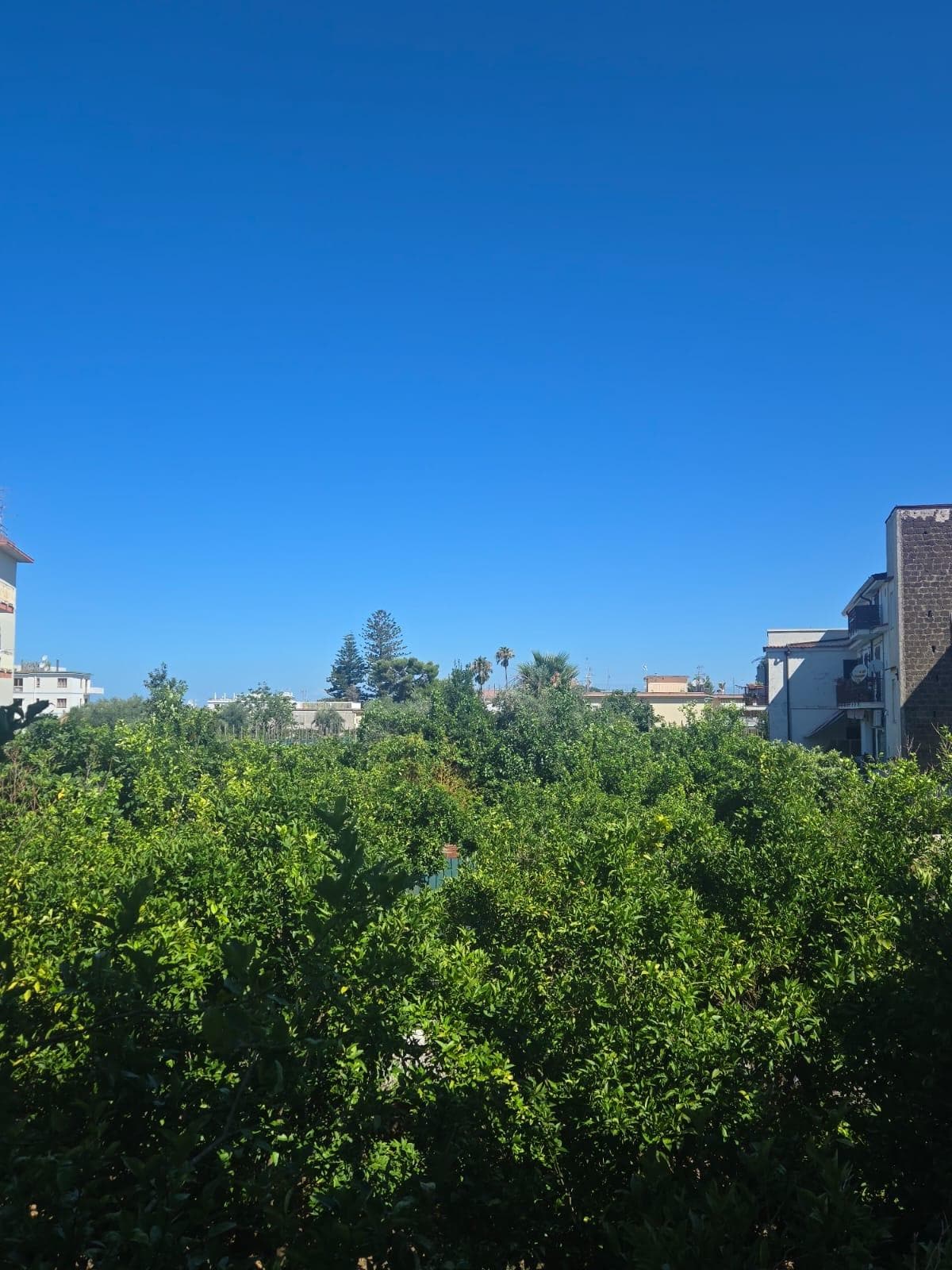 Vista da janela do quarto