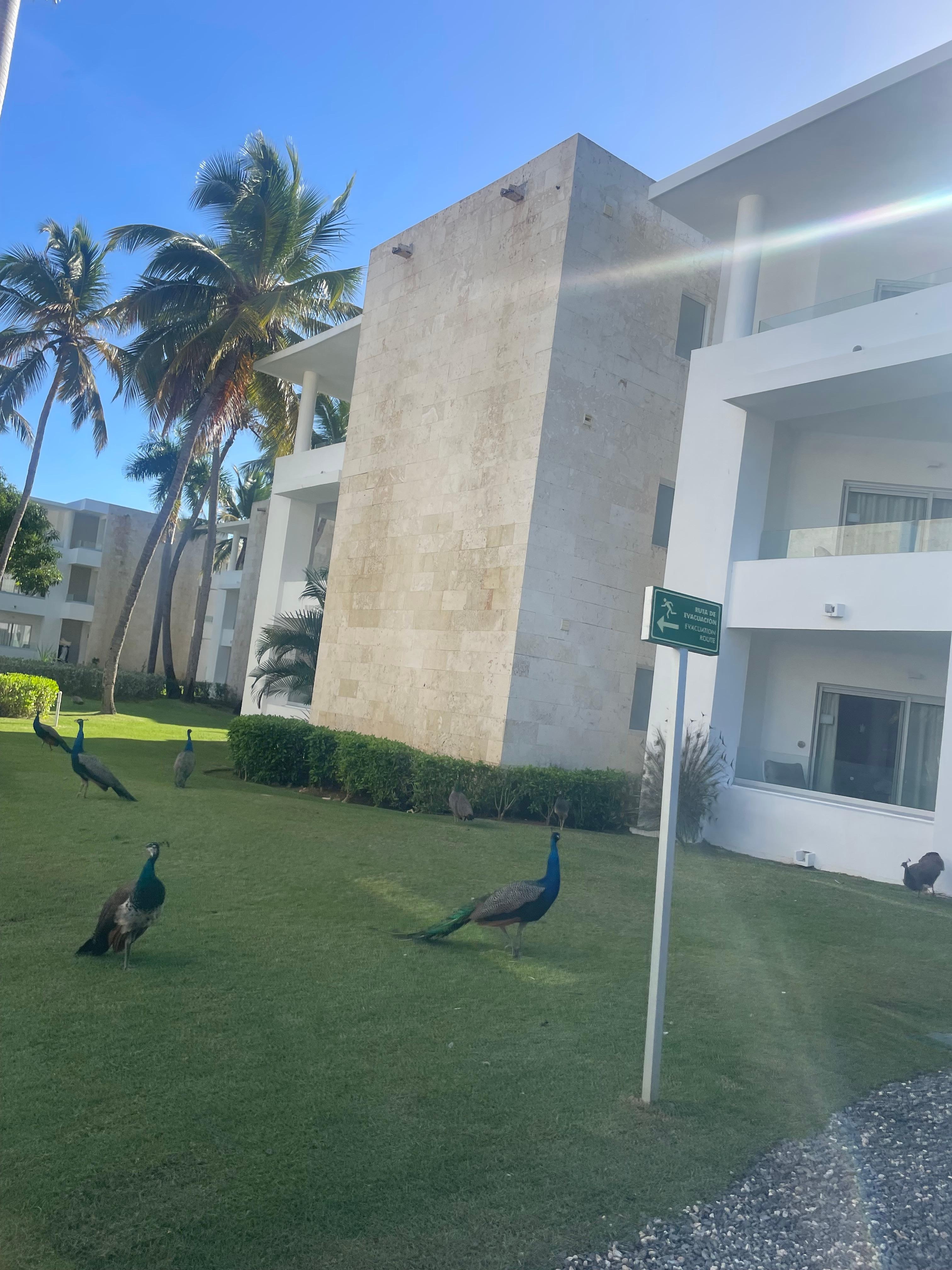 Apartamentos em bom estado e limpos 