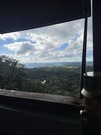 View from Willie’s