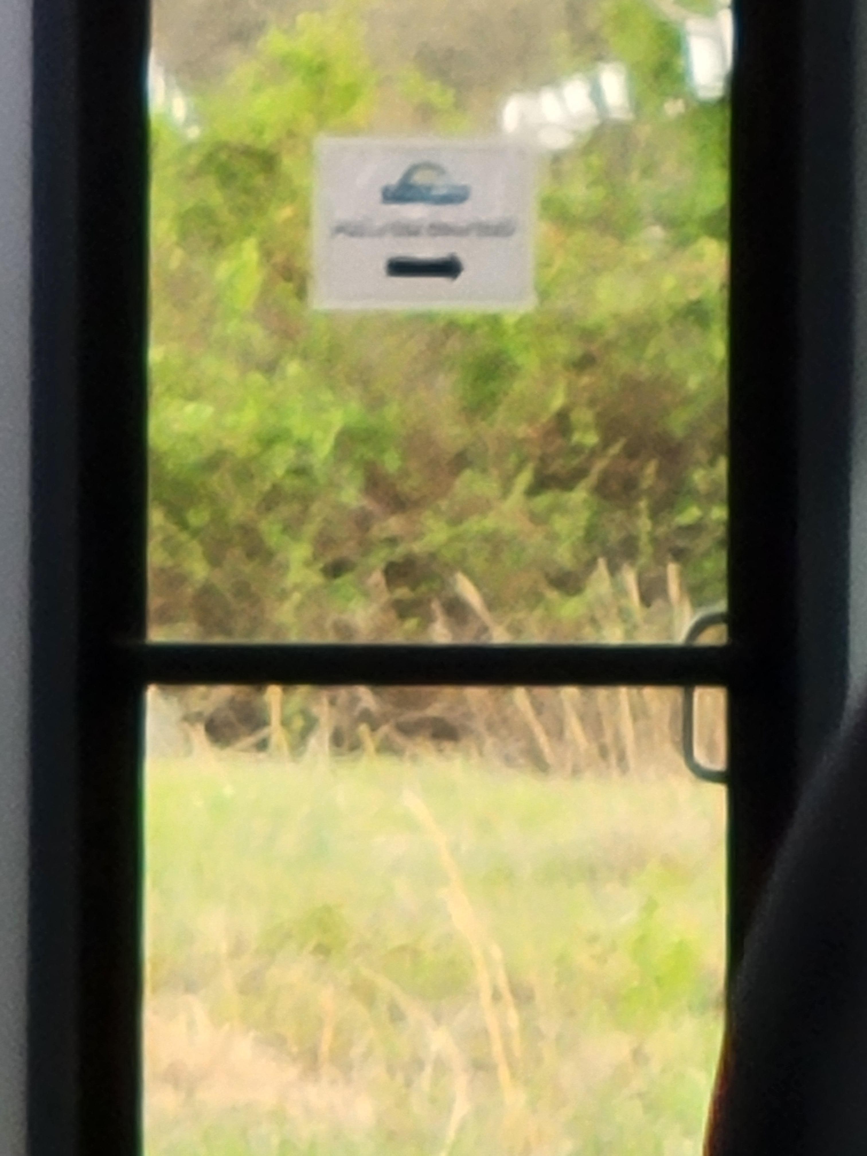 Nice views out the back door.