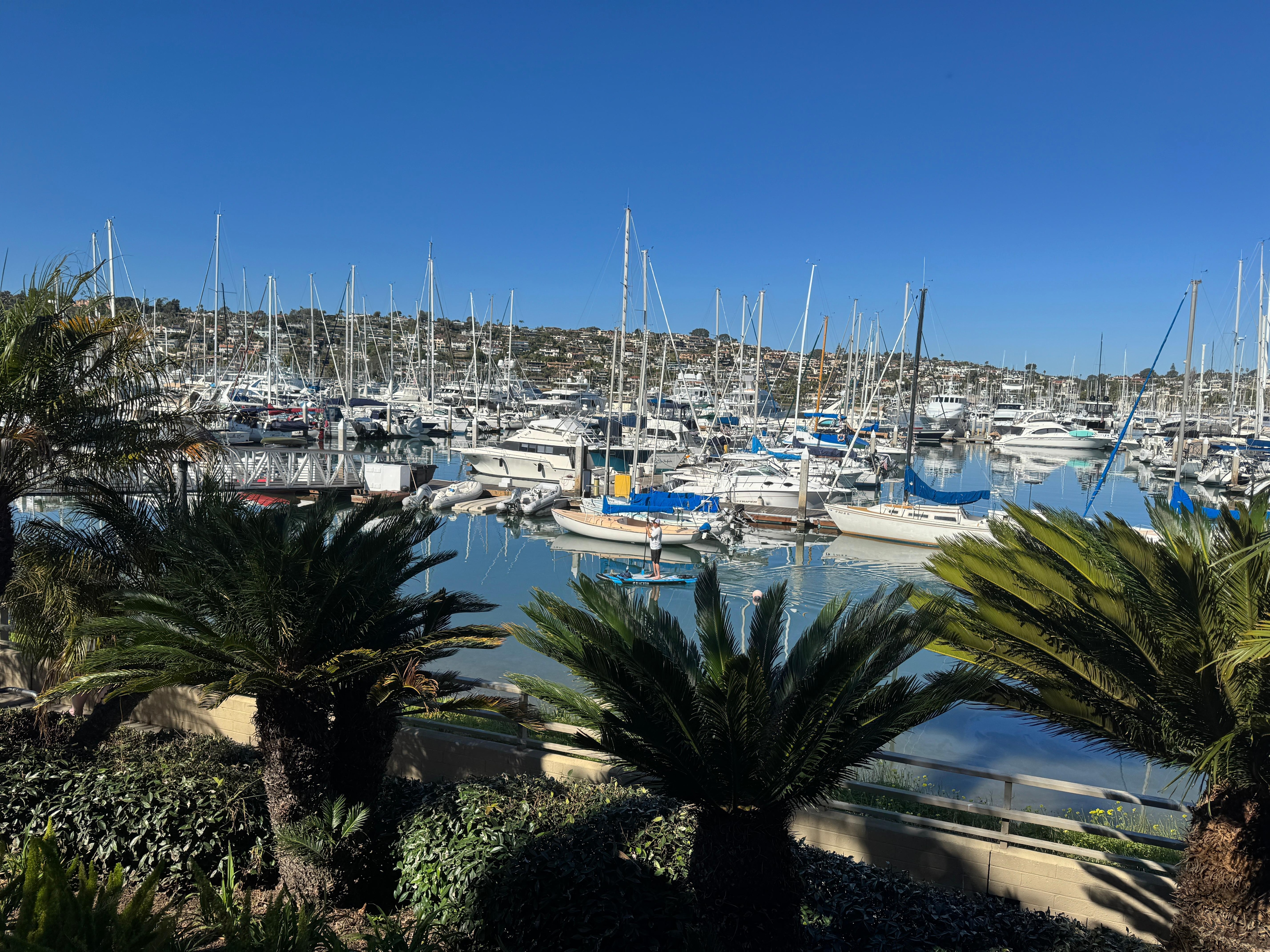 Stand up paddle board in the marina