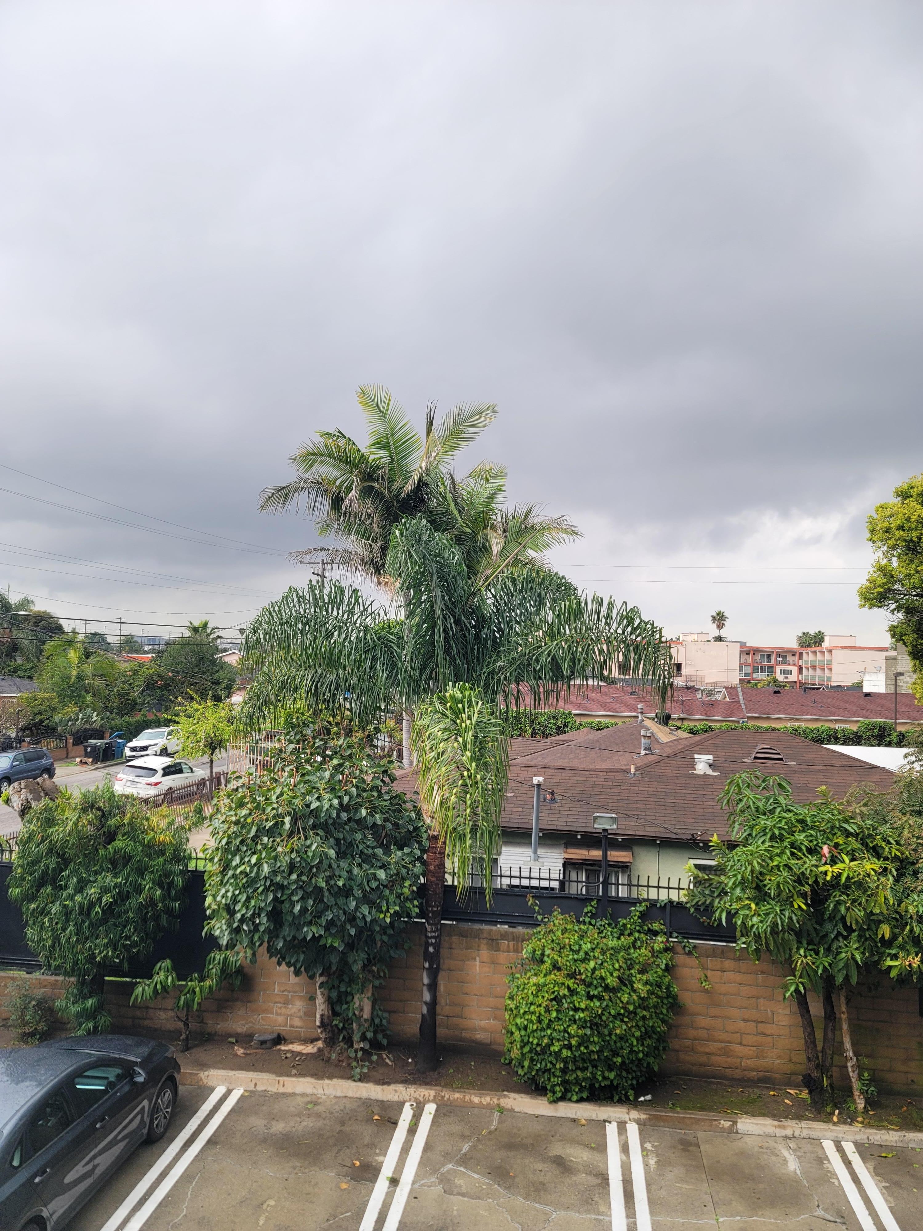 The view from my window. 