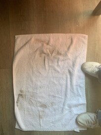 From the bathroom floor.