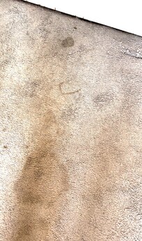 Room 19 dirty carpet