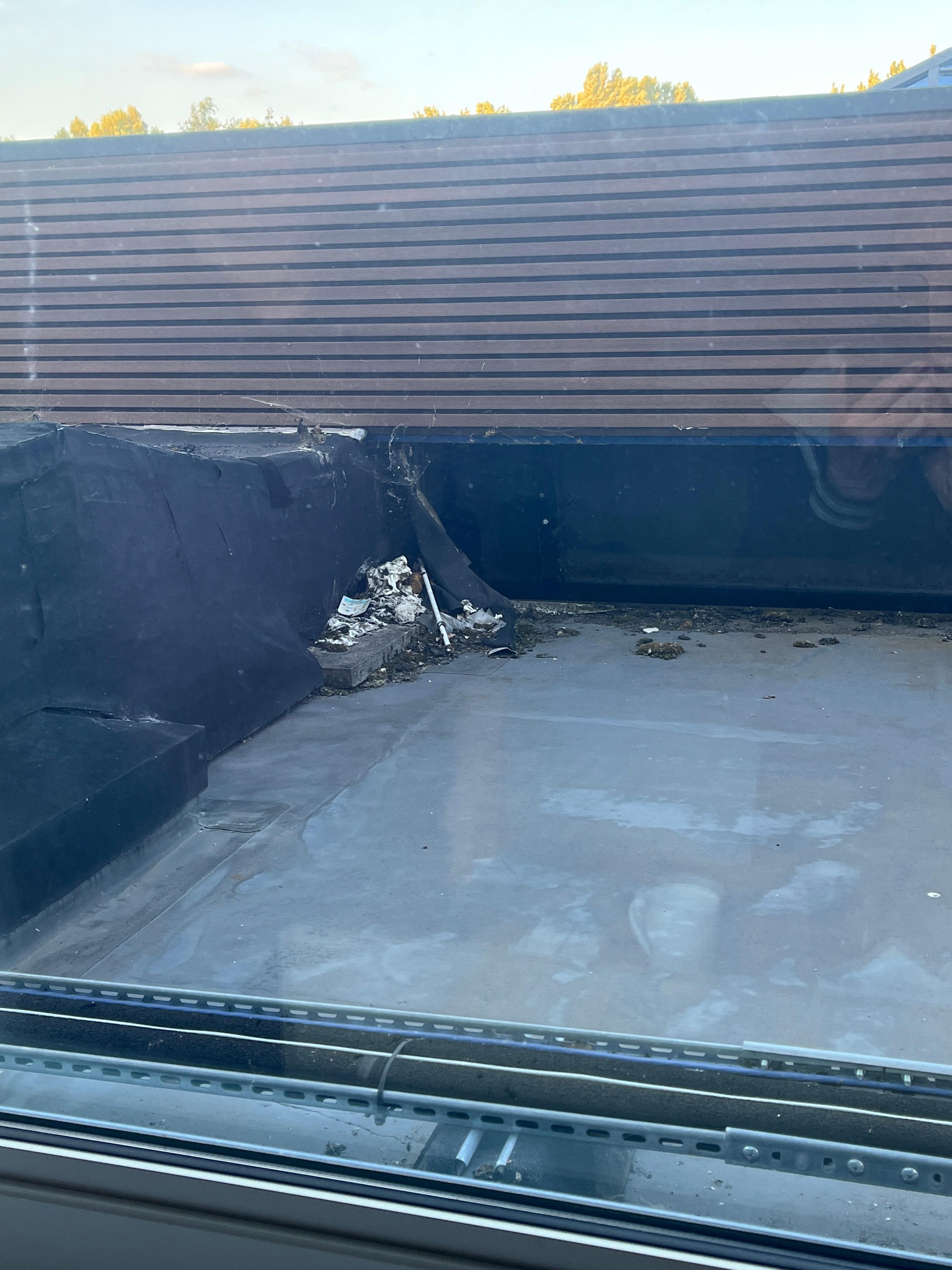 View of the roof with trash on it.