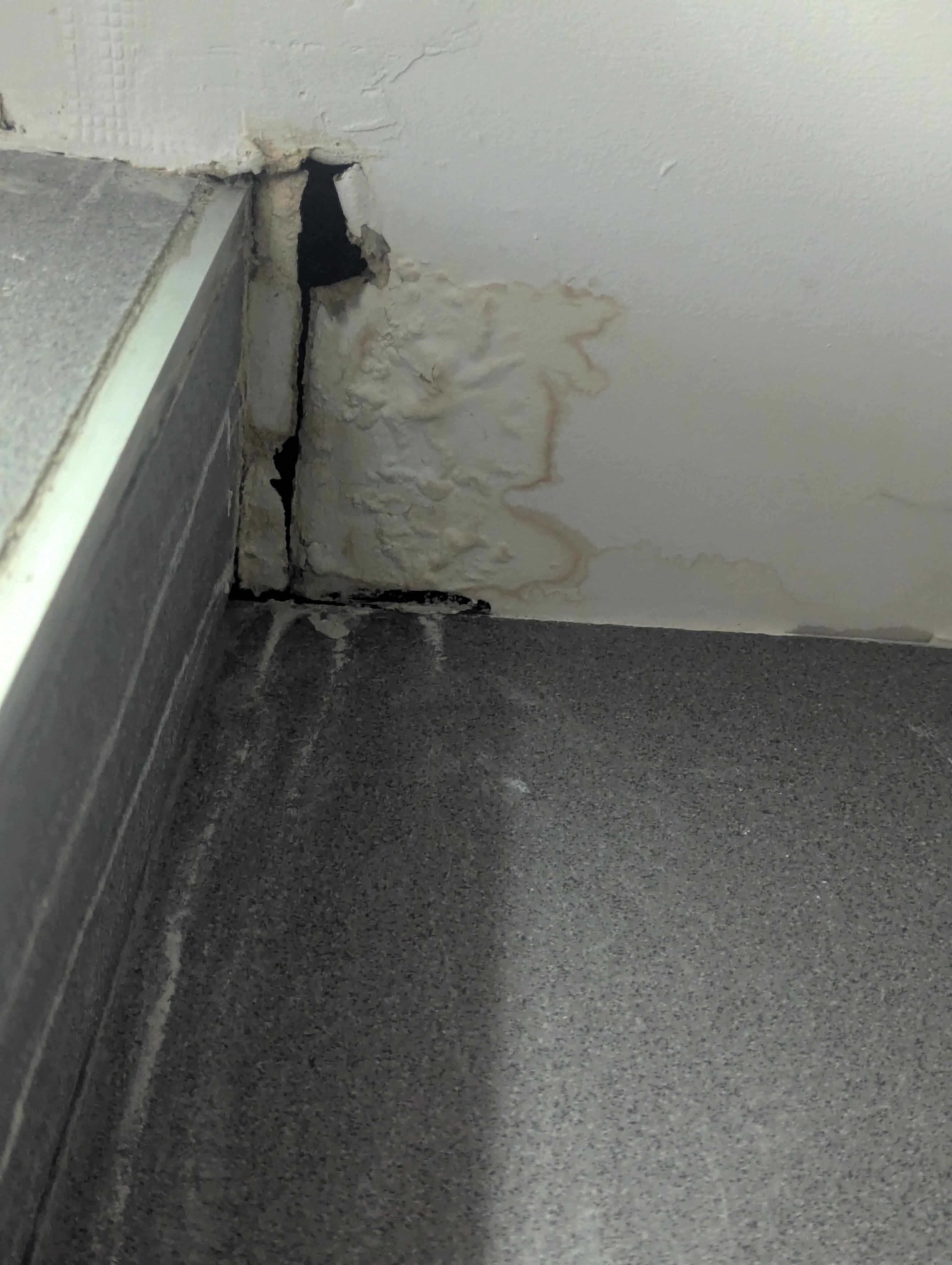 Bathroom ceiling 