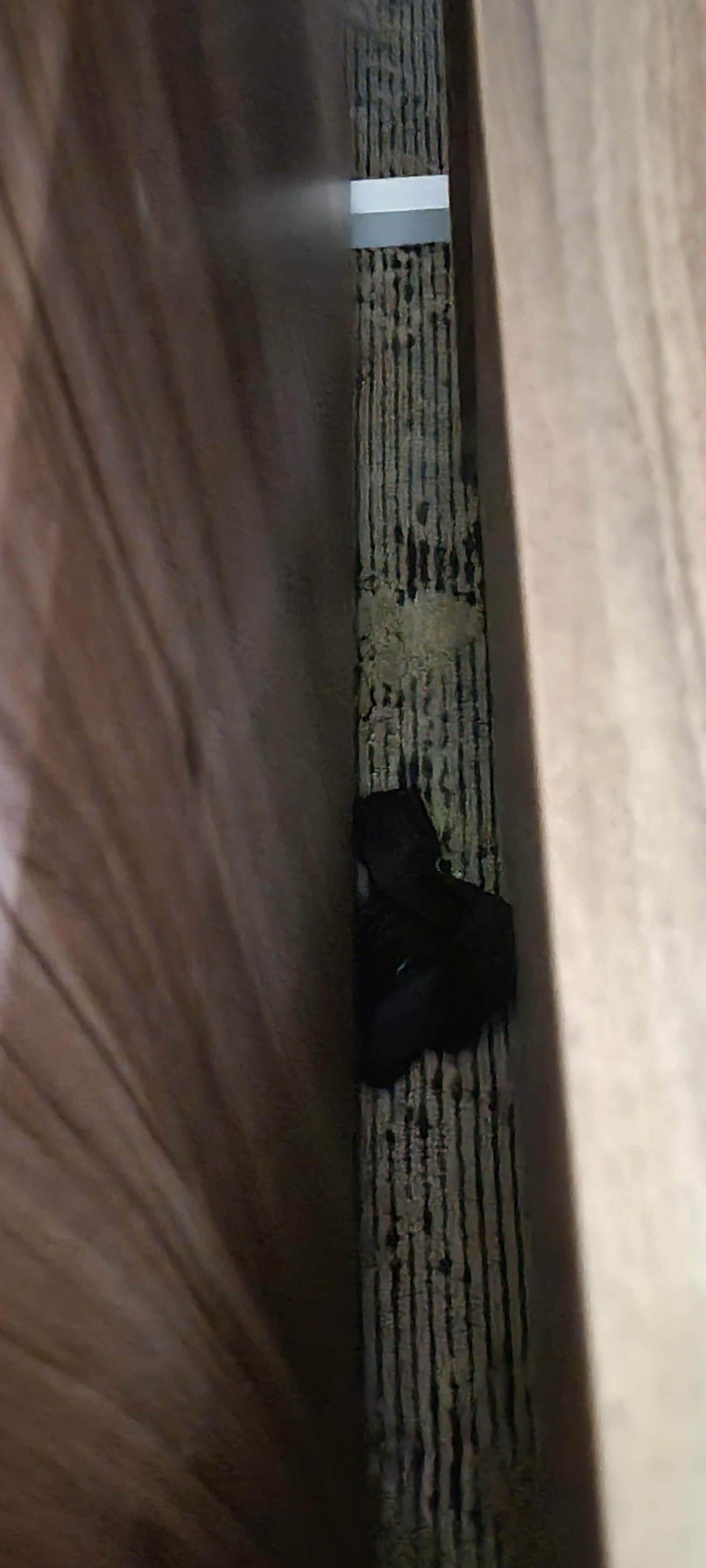 Garment behind dresser in 1st room