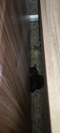 Garment behind dresser in 1st room