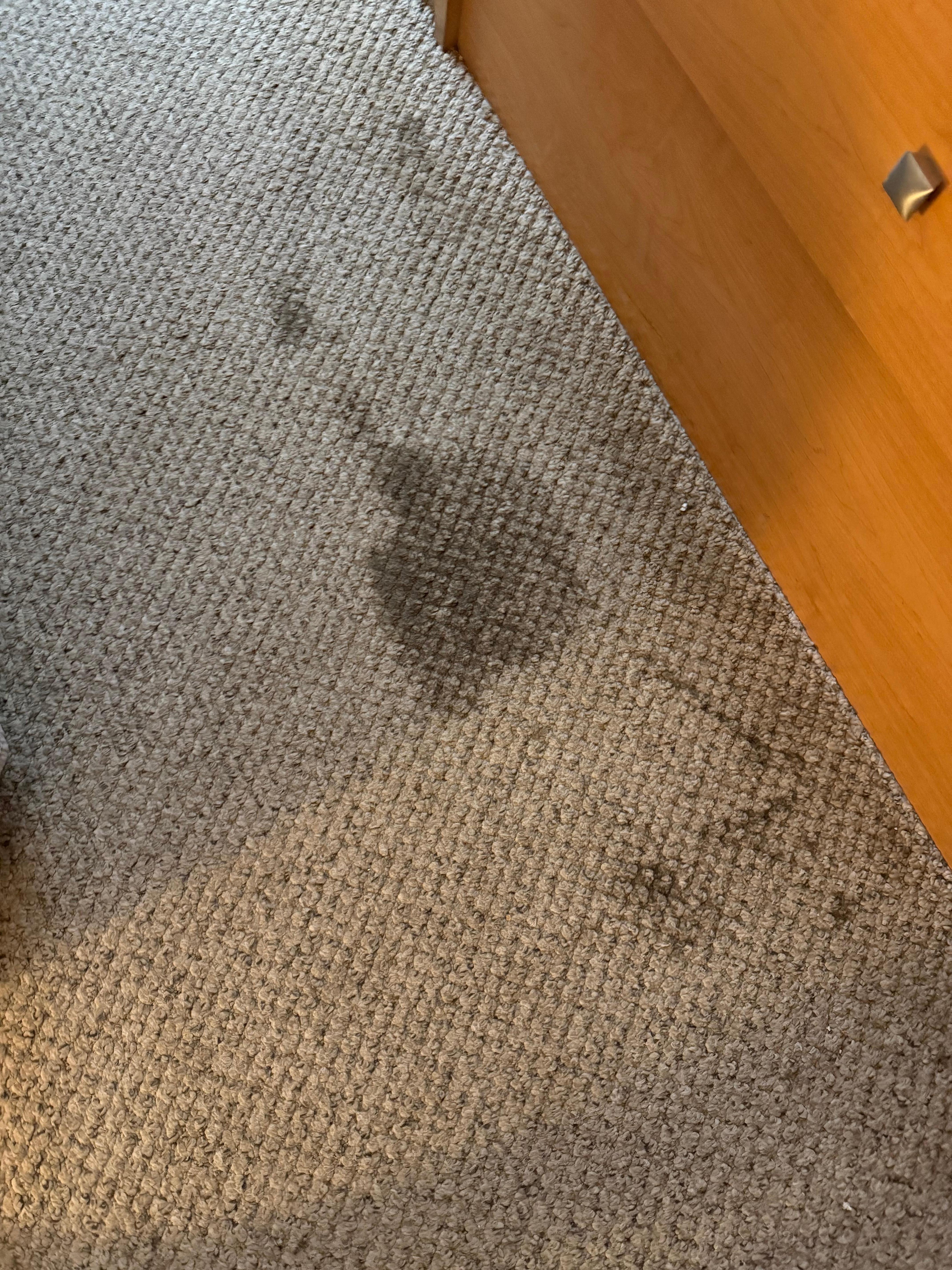 Carpet stains