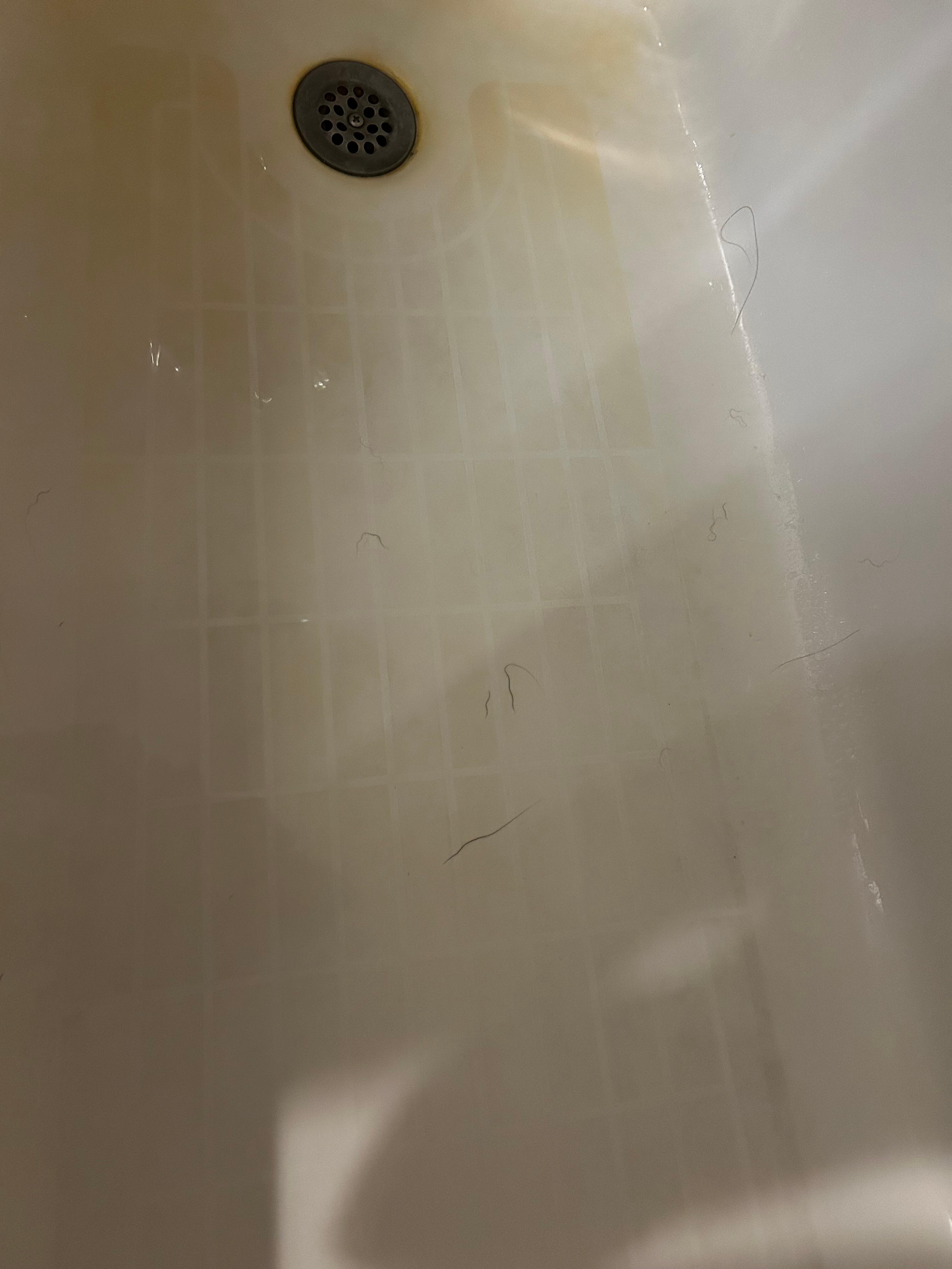 Hair in shower/bathtub