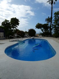 La piscine pour se rafraîchir