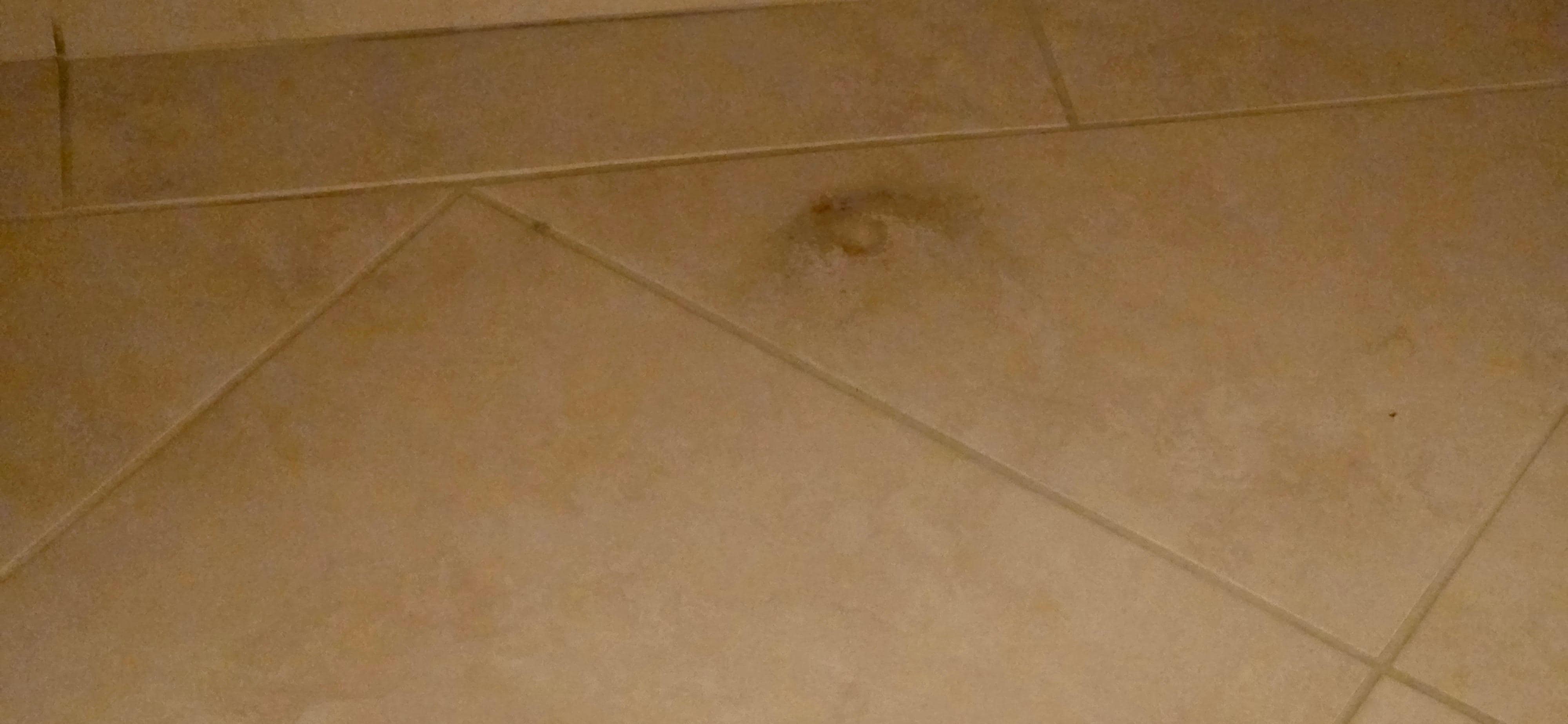 Dirt and dust under sink