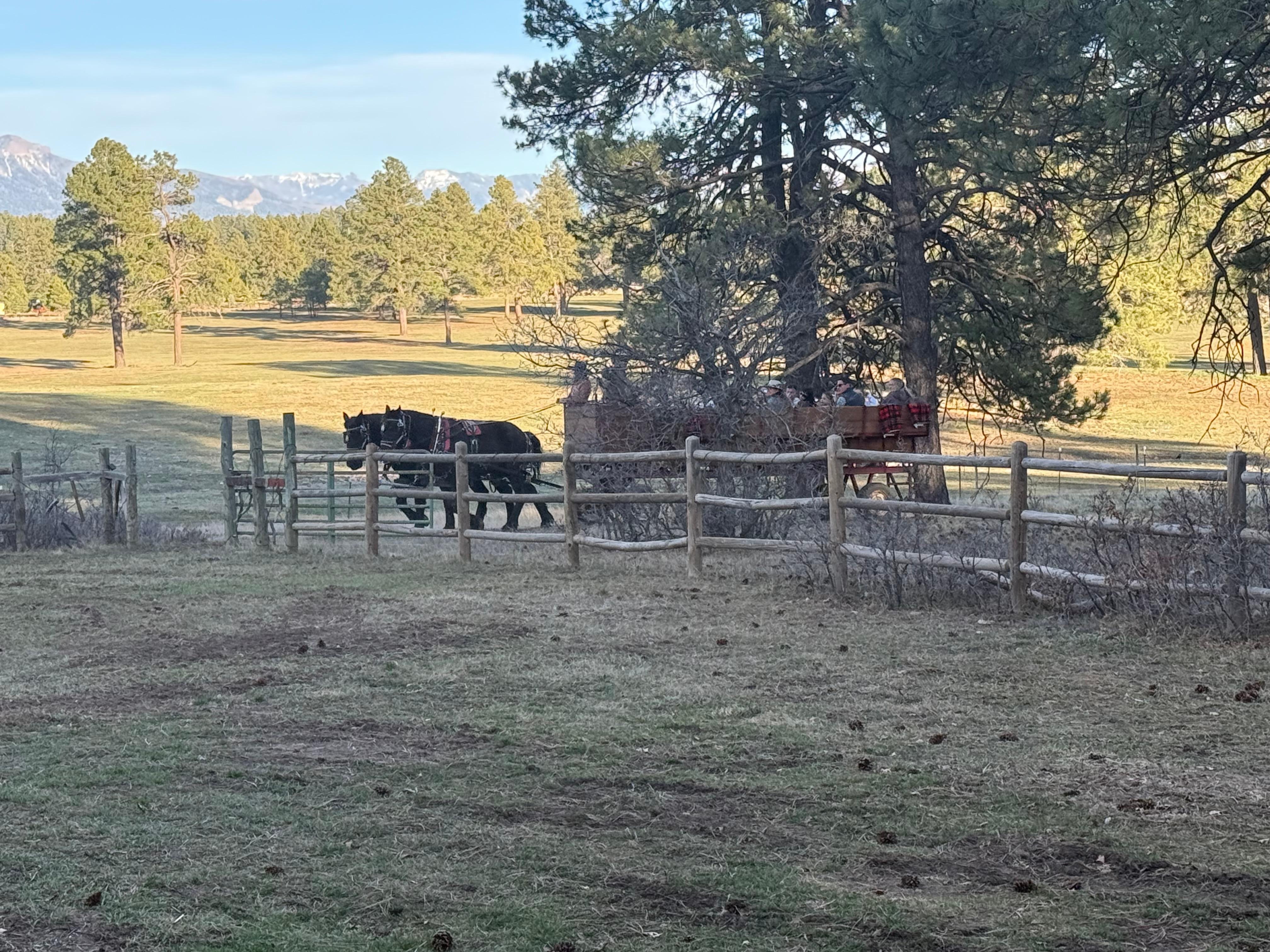 The Buckaroos wagon ride & dinner. 