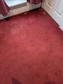 ほこりだらけの廊下