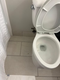 I forgot to take pics of the nighttime roaches