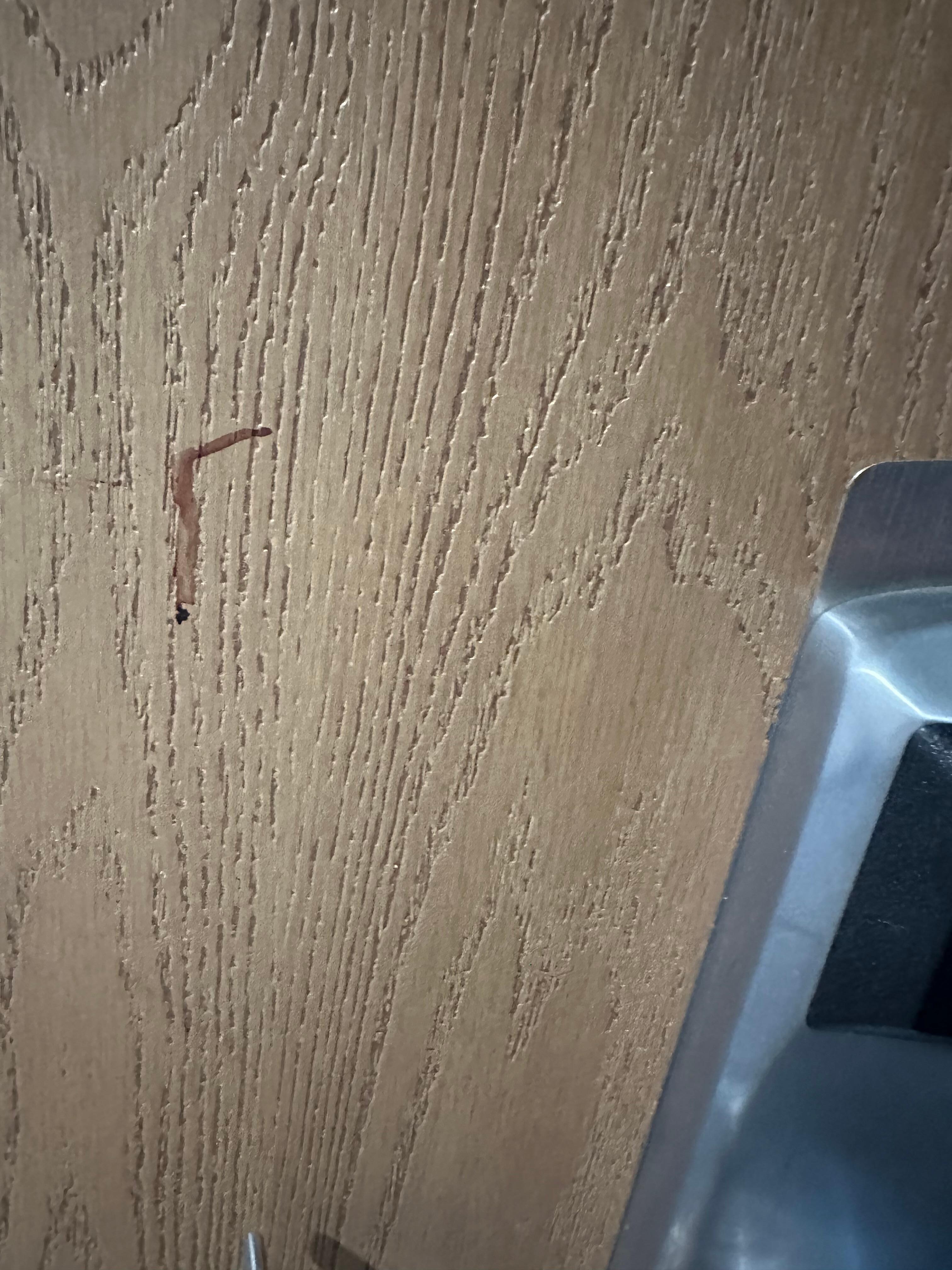 Blood on door