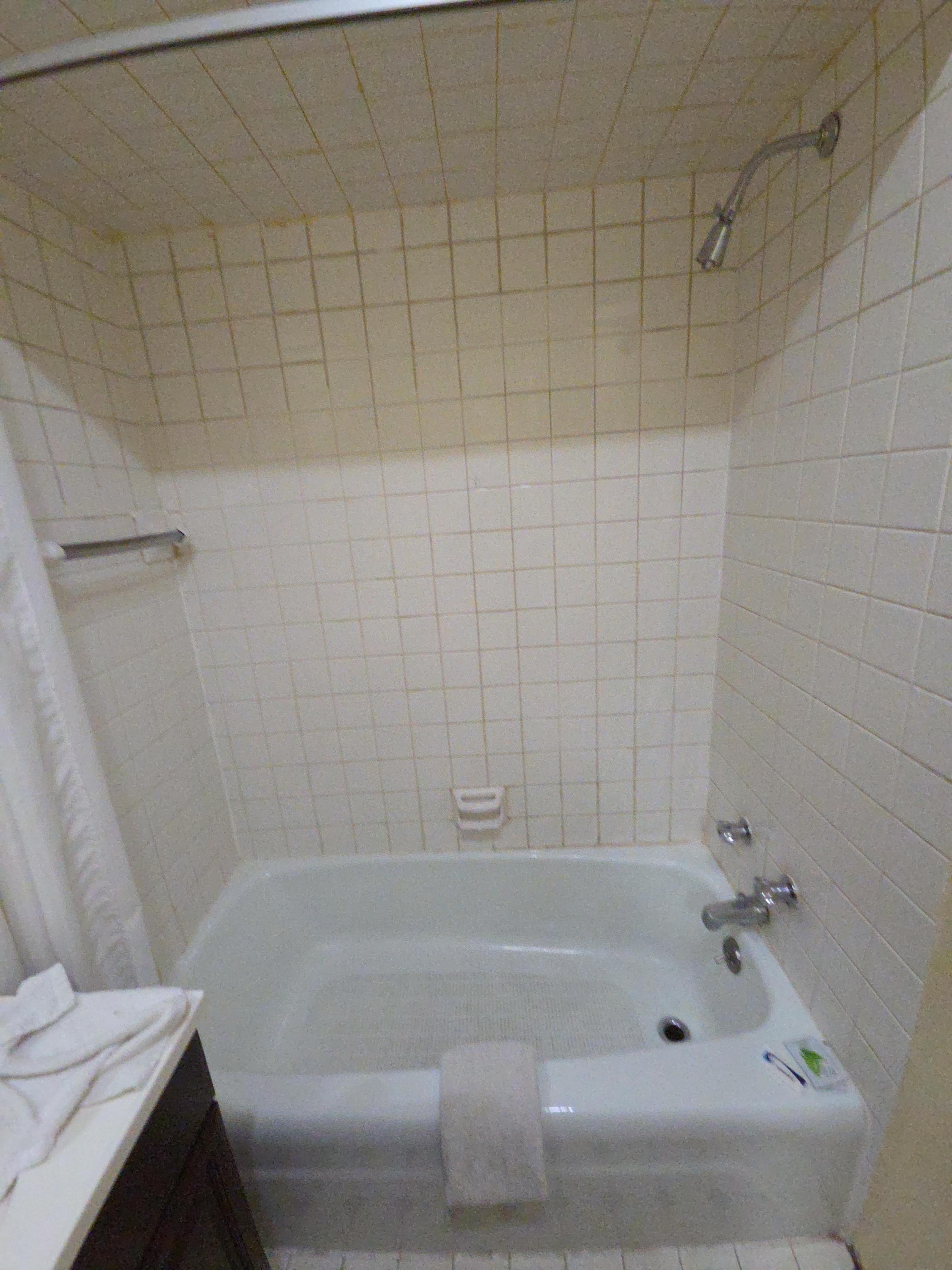 Bathroom shower tub needs lots of work. 