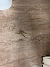 Burns on bathroom floor