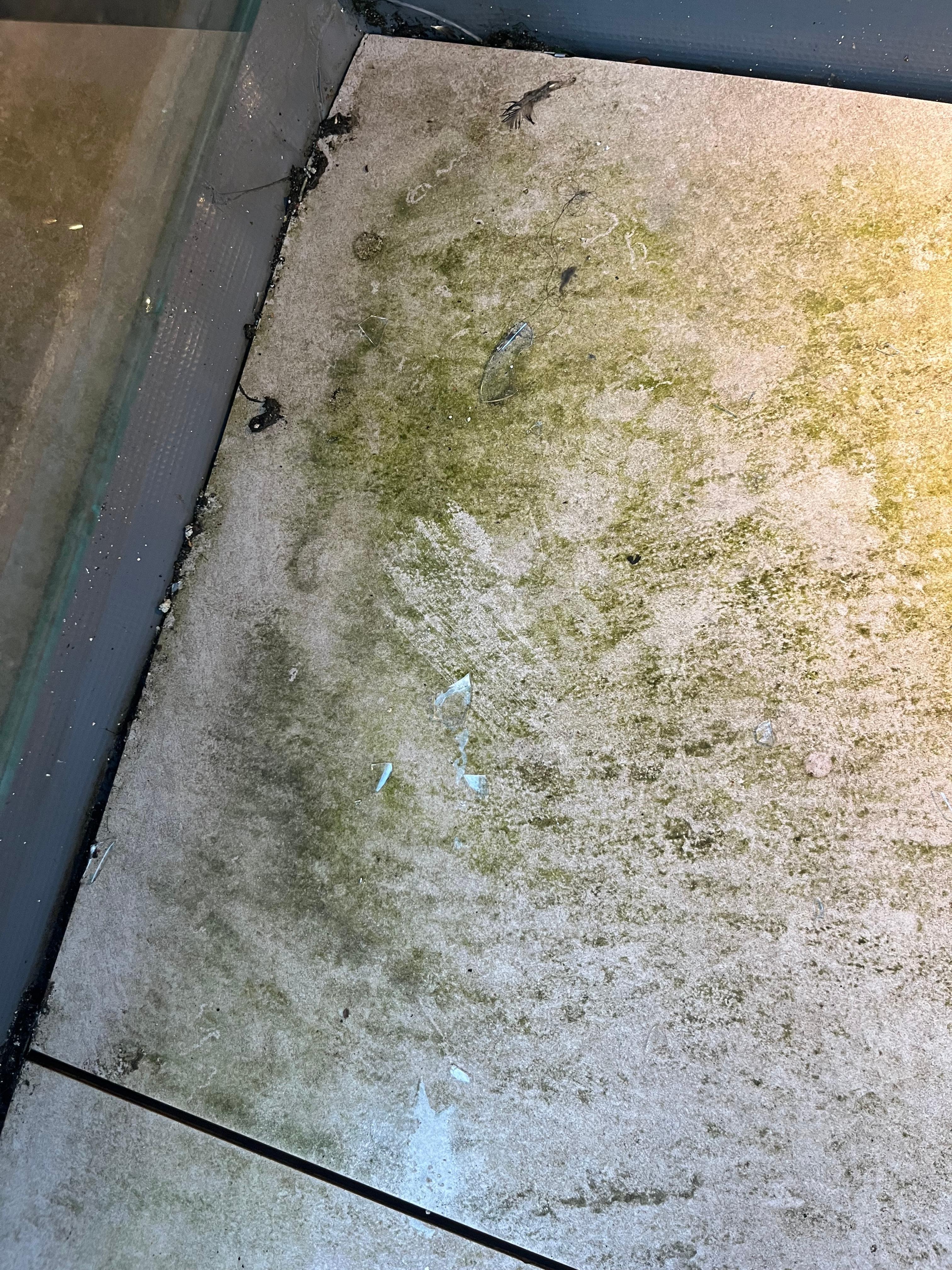 Glass fragments on balcony. 