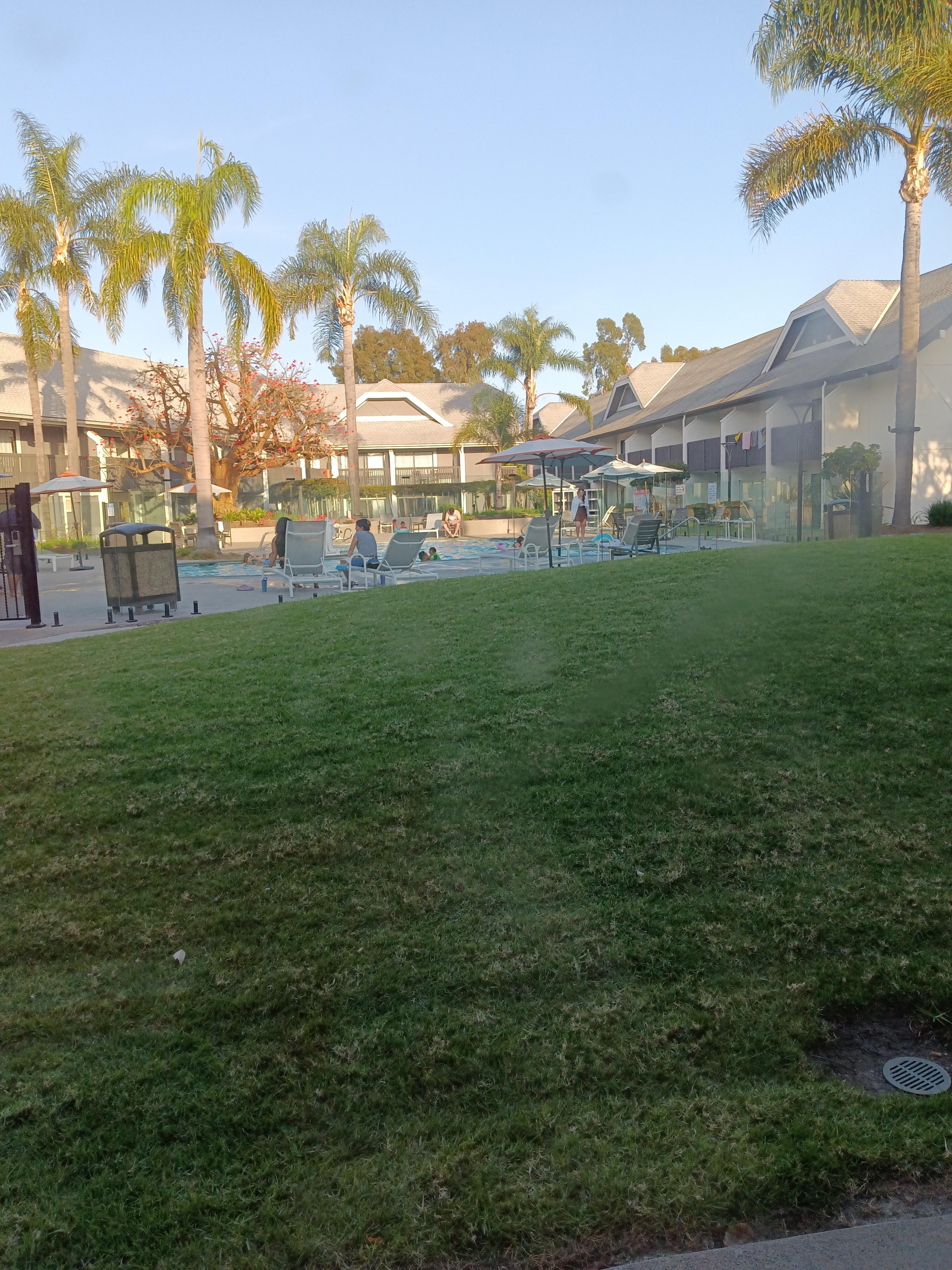 Looking out from our sliding door.