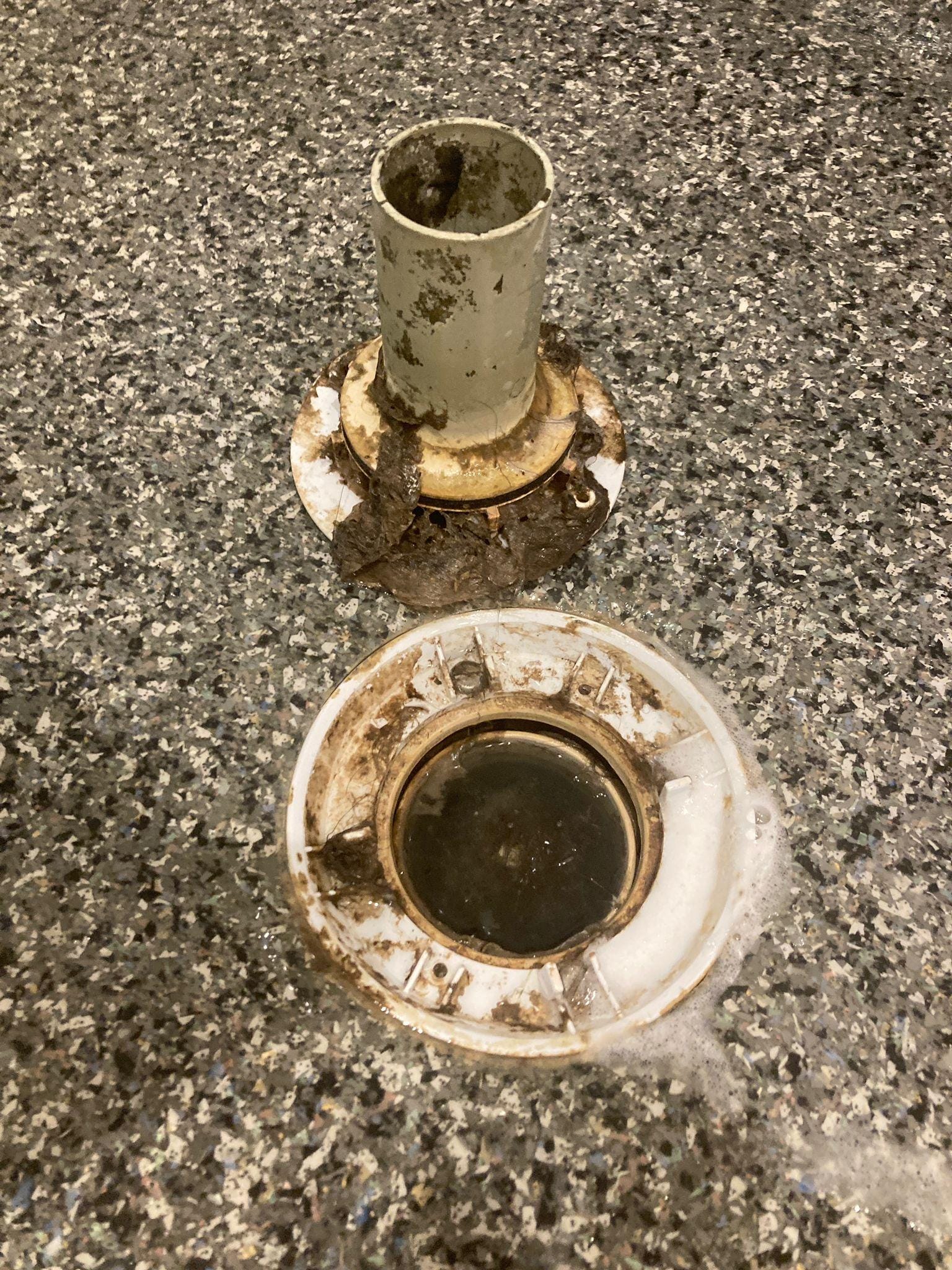 Filthy drain hole, water not draining in shower