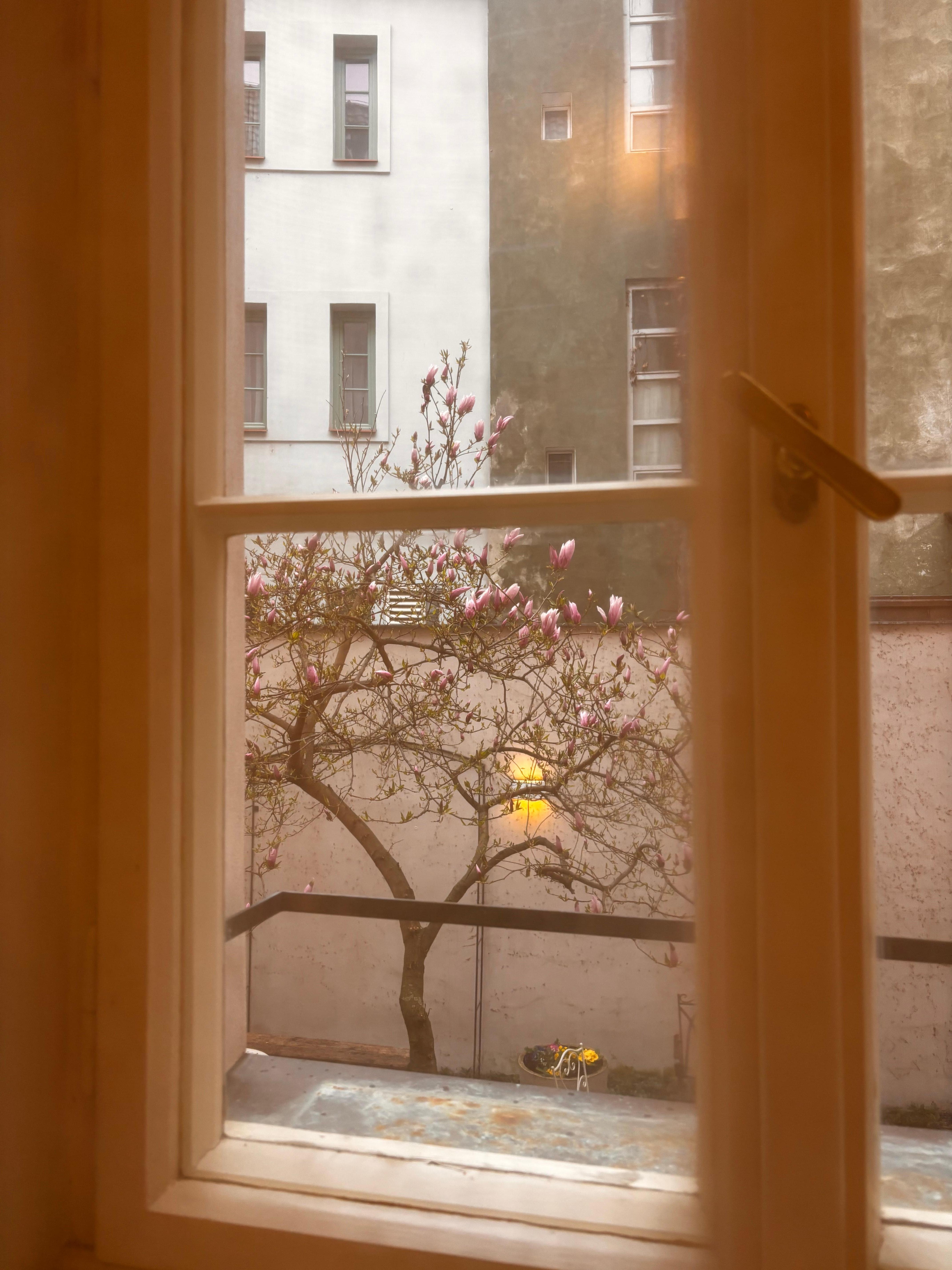 Da janela do nosso quarto , vendo a neve caindo 