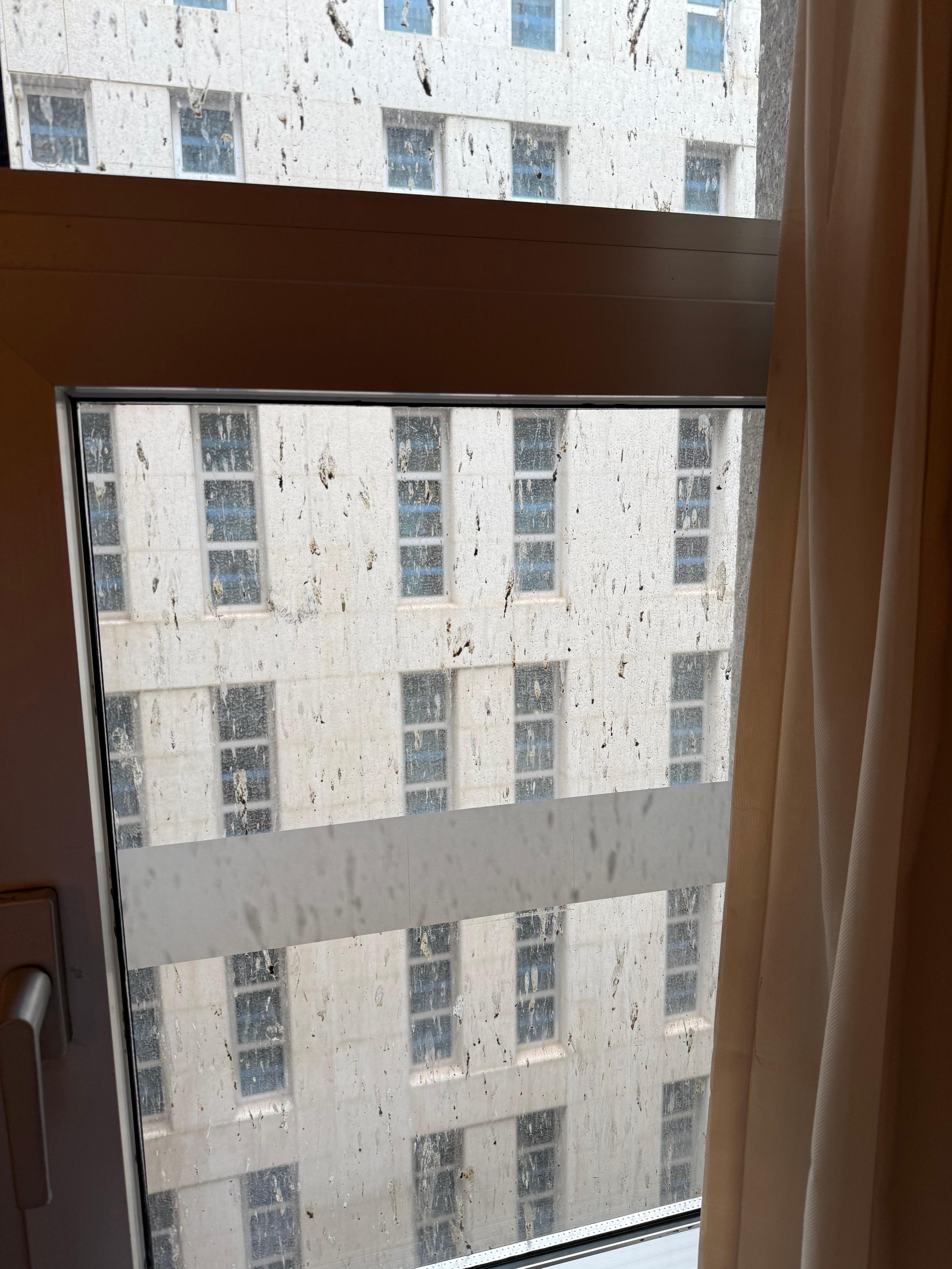 Bird excretion all over the windows, so you end up with no natural light.