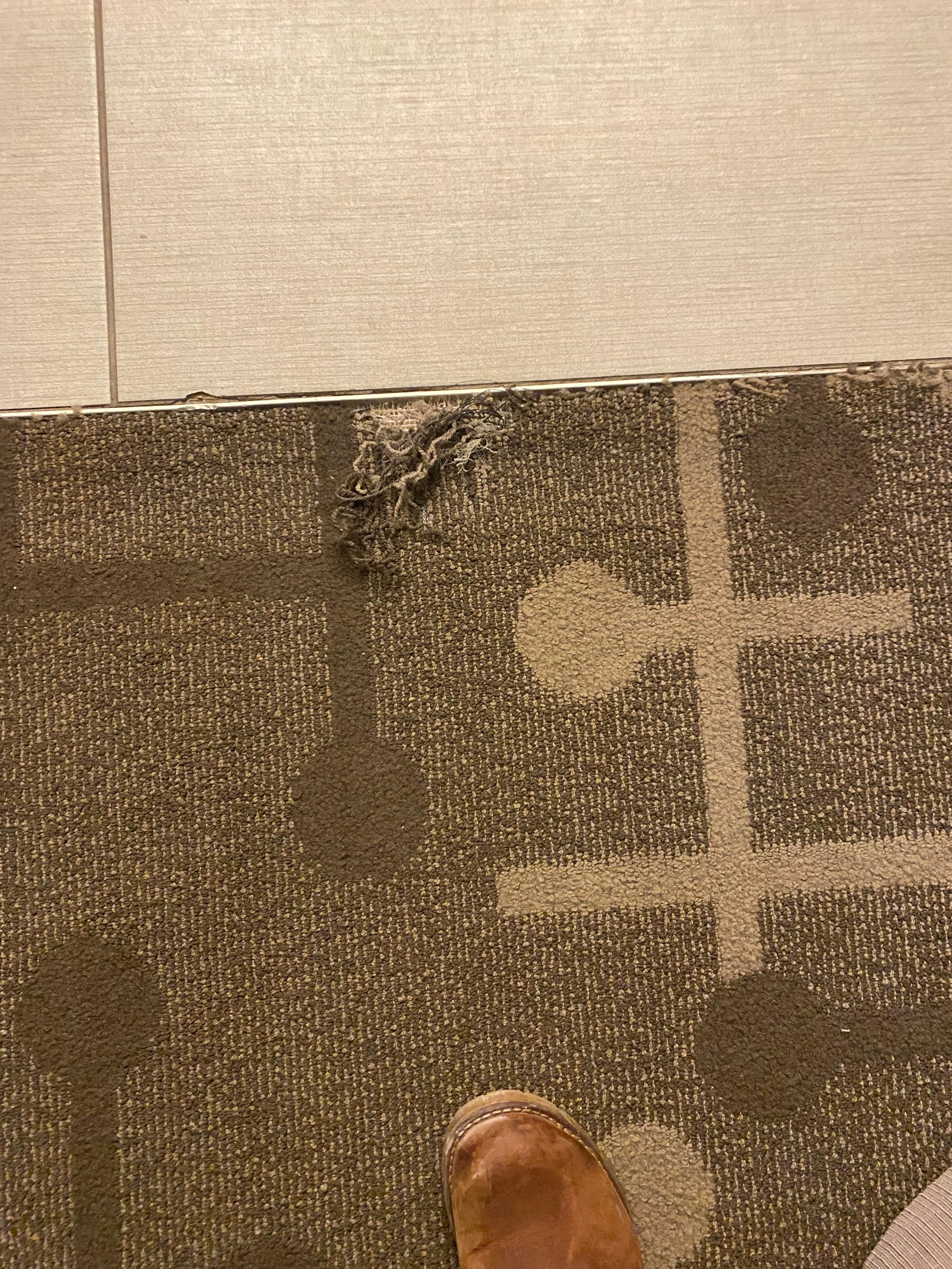 Pilled Carpet in the middle of the walk to sink and bathroom 