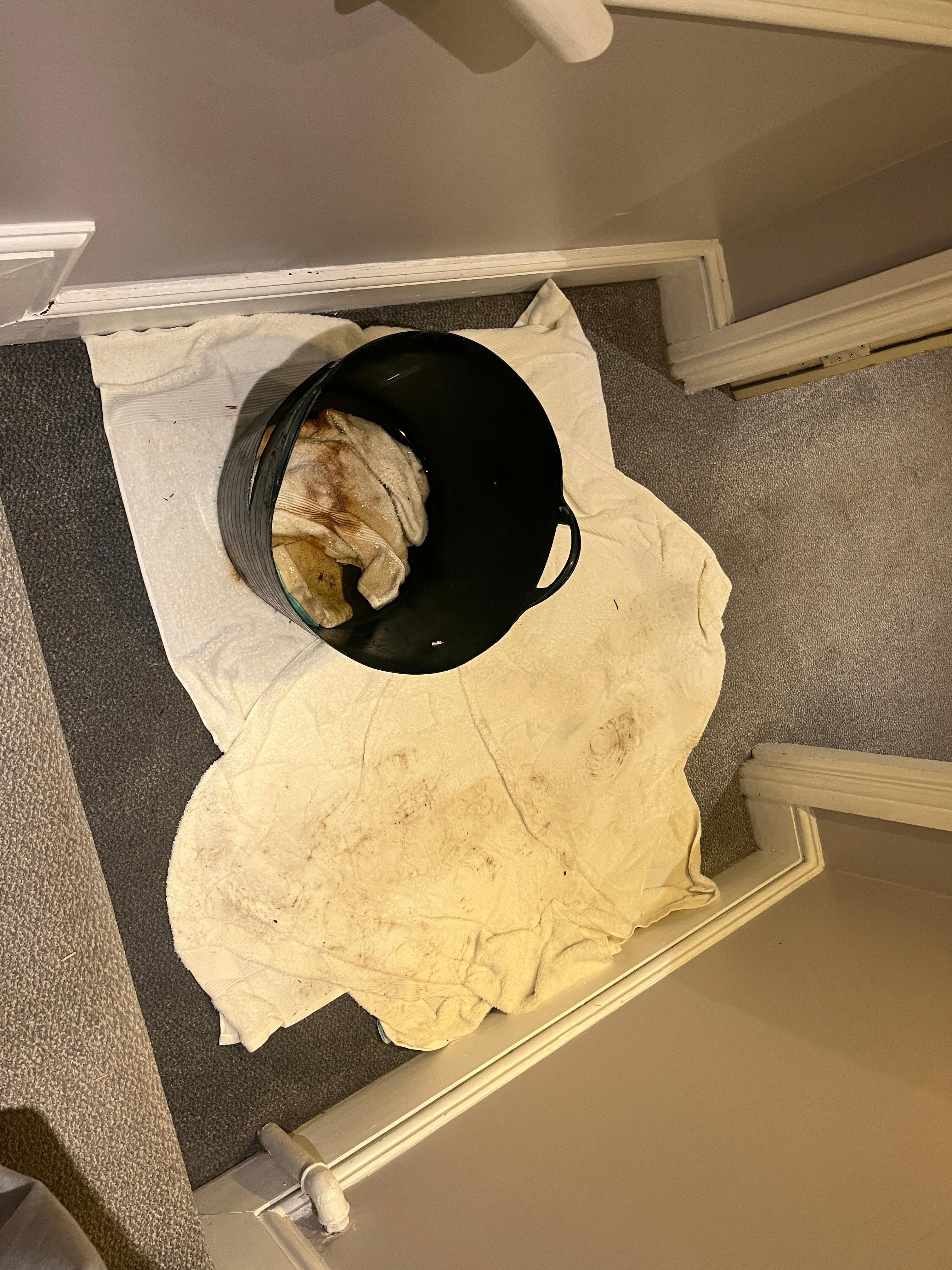 Said bucket of water and soggy towels