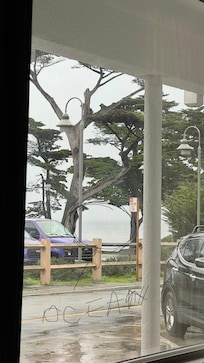 The view from our room # 105. The elevator is in the front of this room, likely the elevator was out of service. Otherwise is loud and unpleasant. Room 106
Is close to the ice machine and it is very loud, avoid this 2 rooms