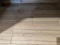 Freshly mopped and cleaned I see.