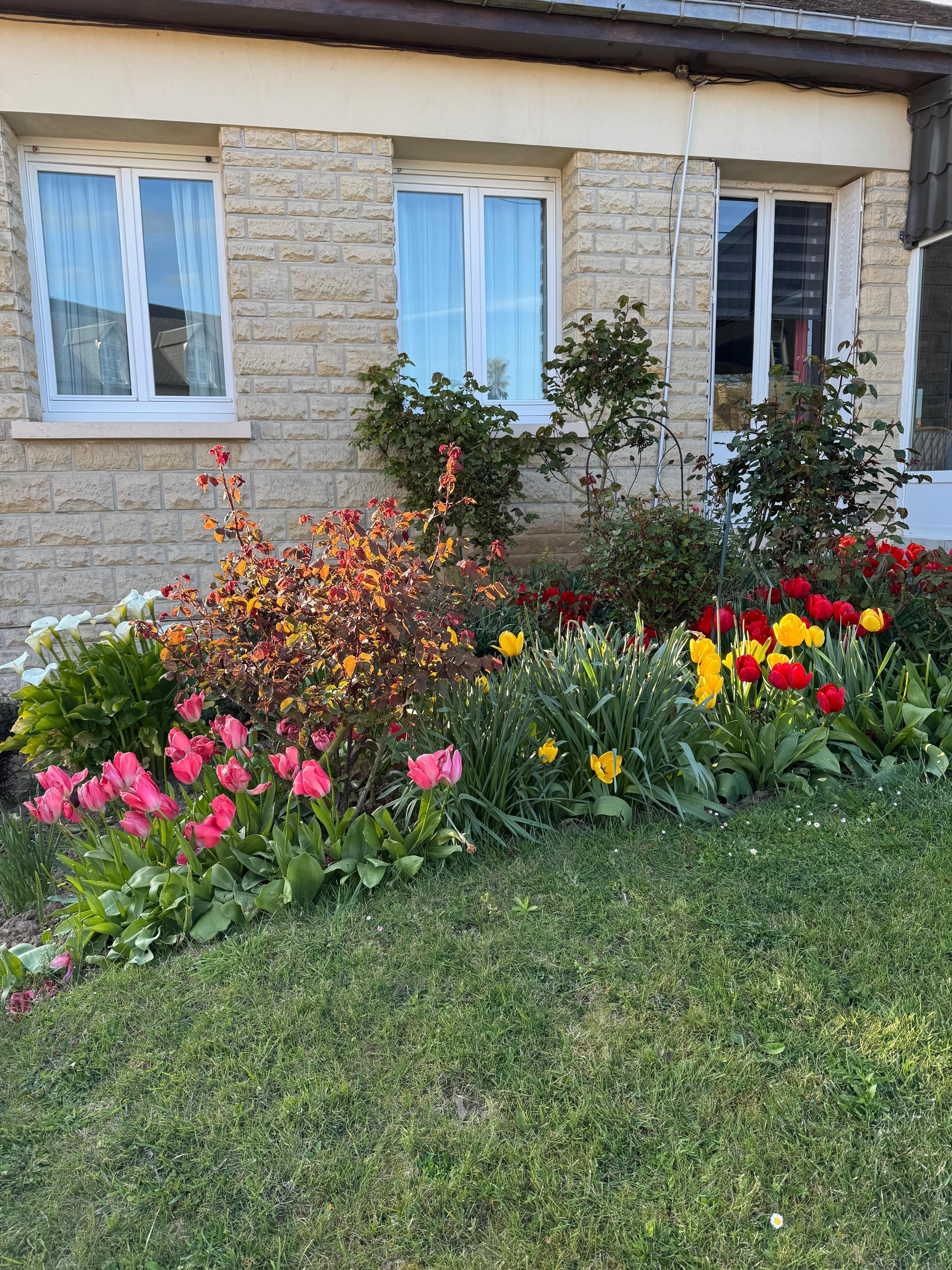 The beautiful property and flowers outside our room